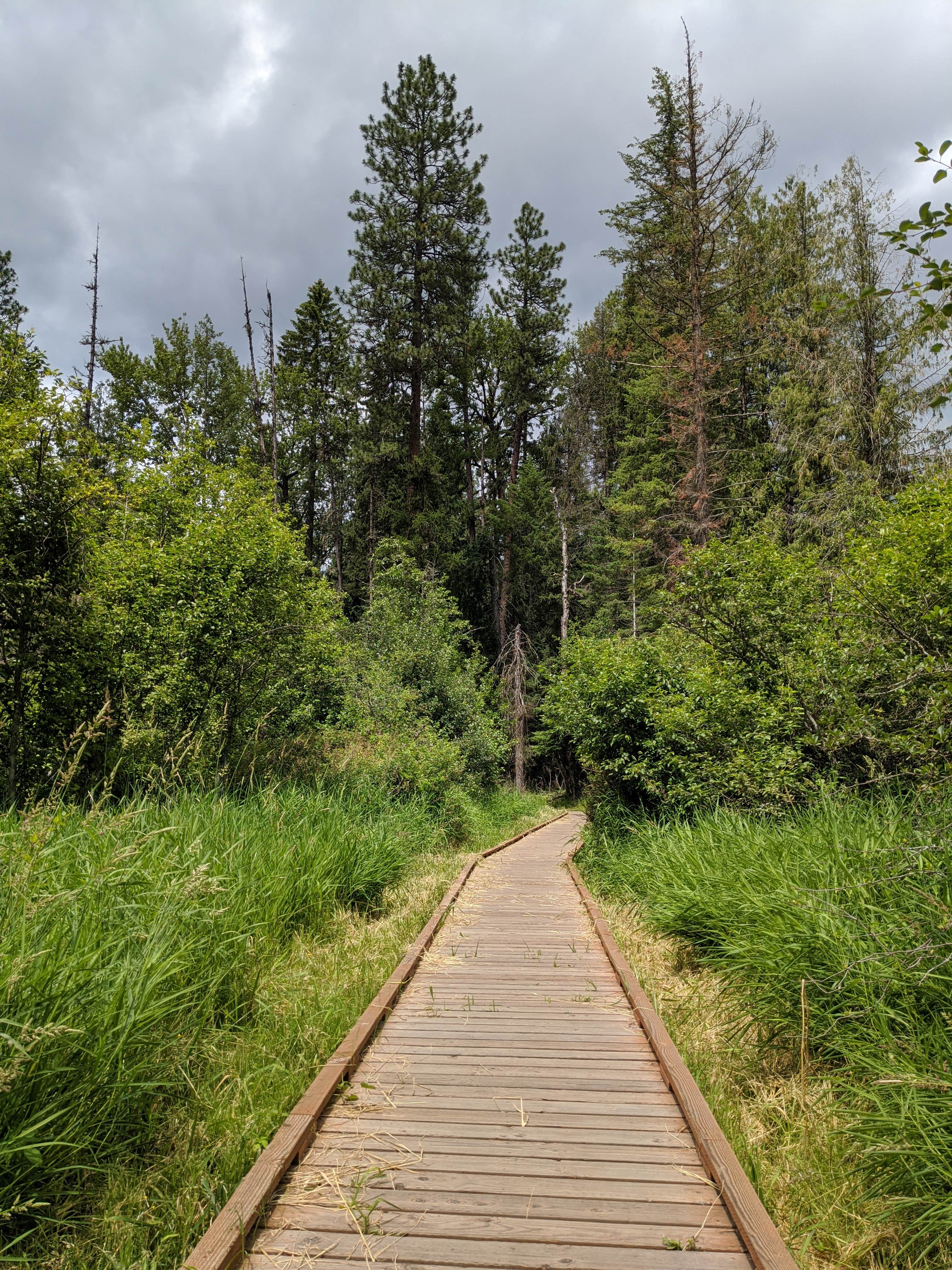 Round Lake State Park Campground | Cocolalla, Idaho