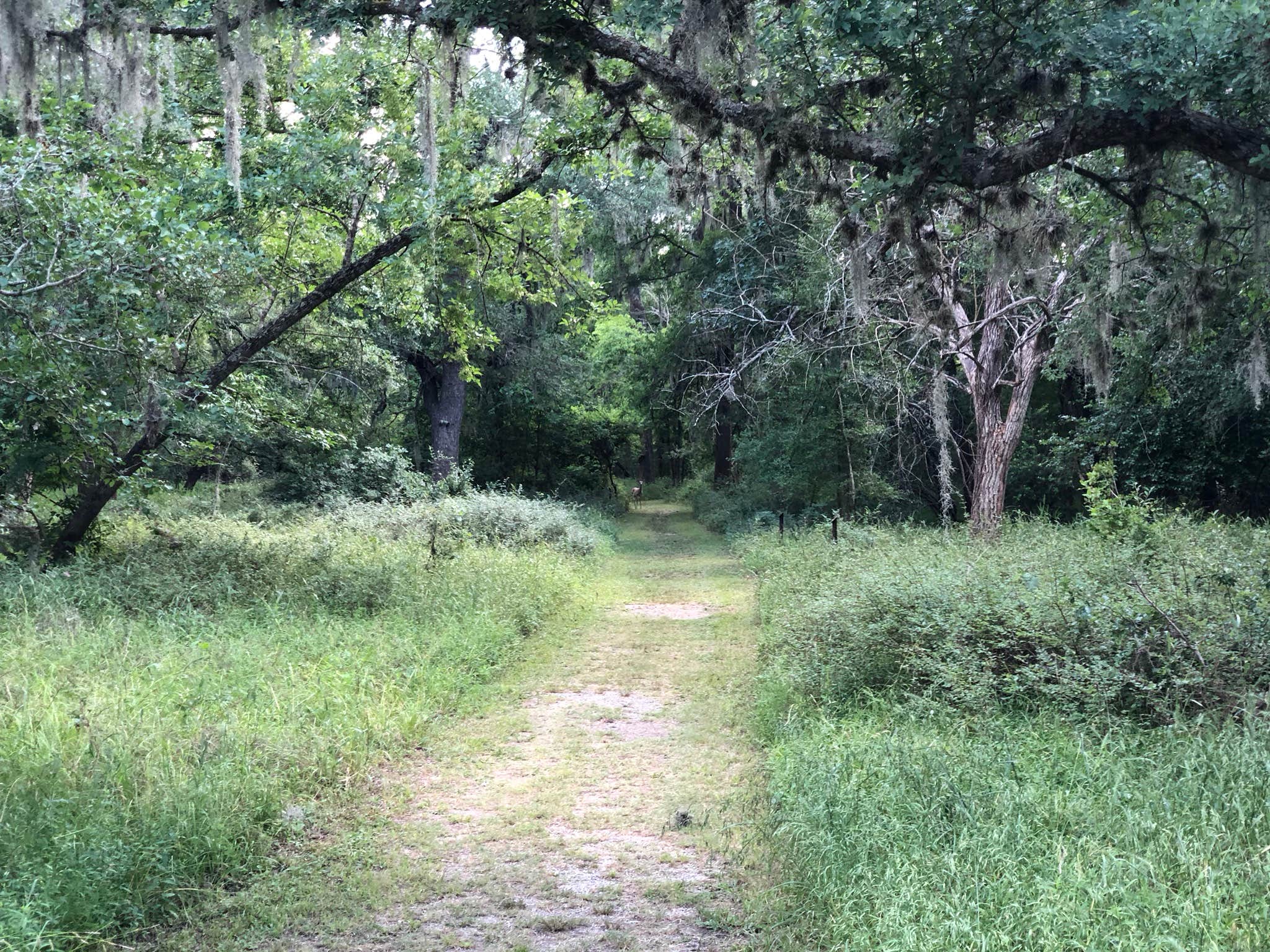 Stephen Austin State Park Campground | Sealy, TX