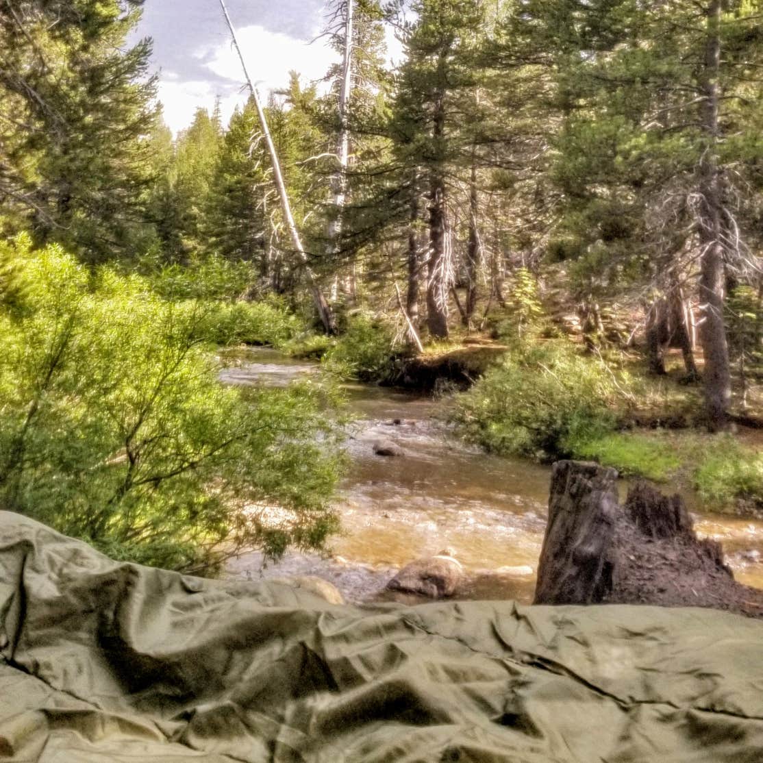 Bloomfield Campground | Markleeville, California