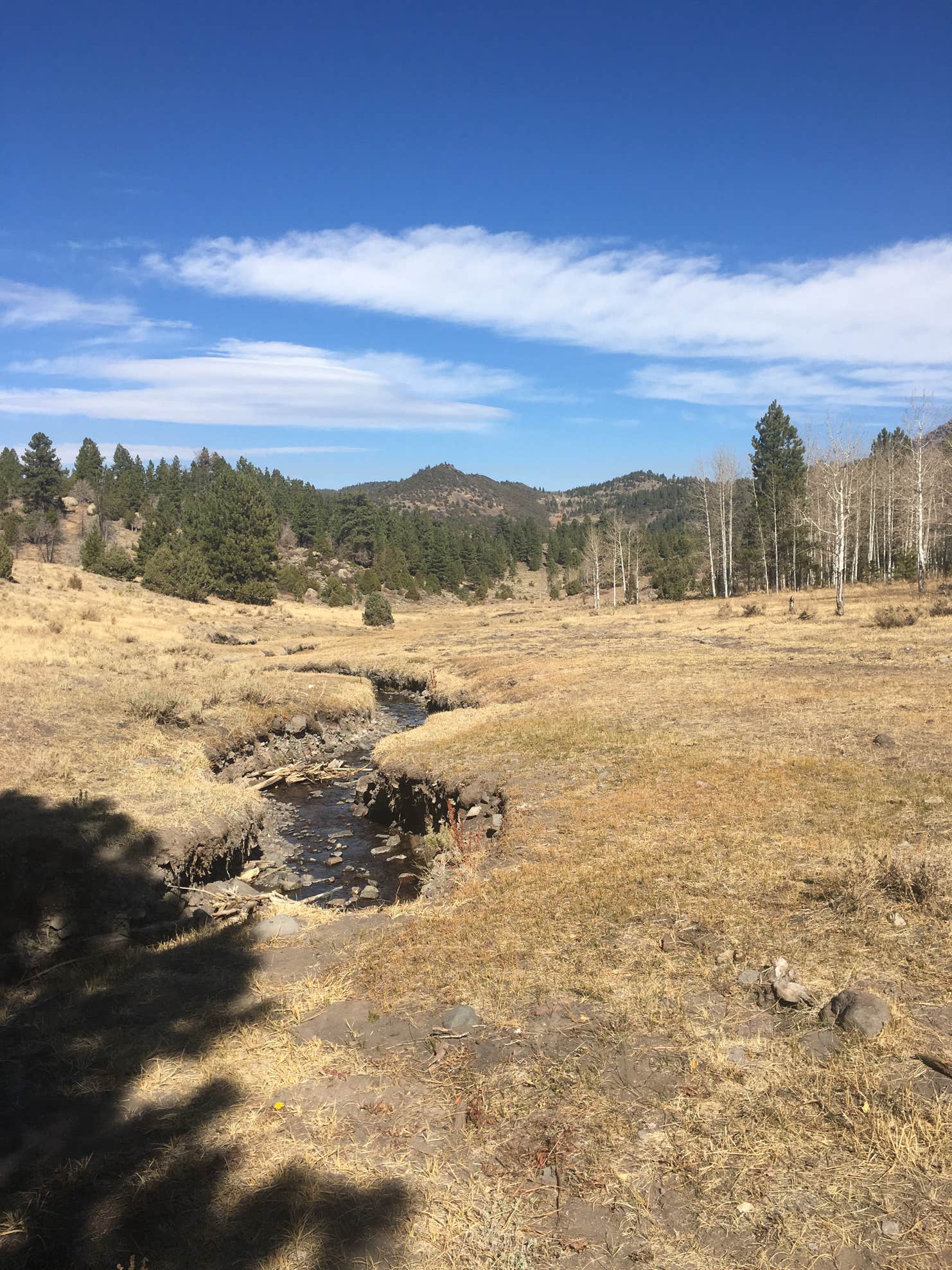 Yankee Designated Dispersed Camping Area | The Dyrt