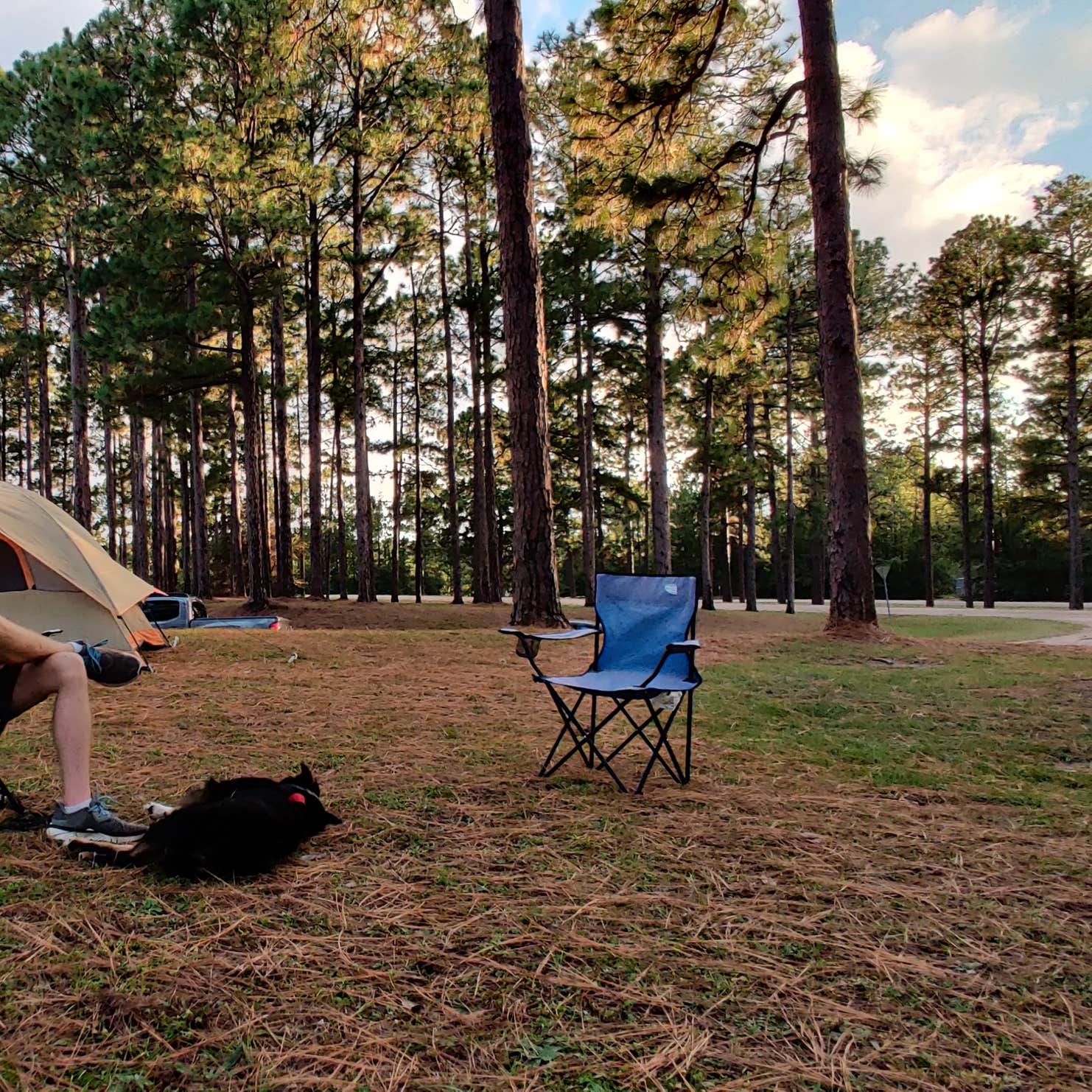 Ebenezer Park Camping | Brookeland, Texas