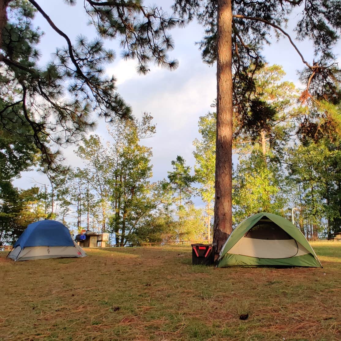 Ebenezer Park Camping | Brookeland, Texas