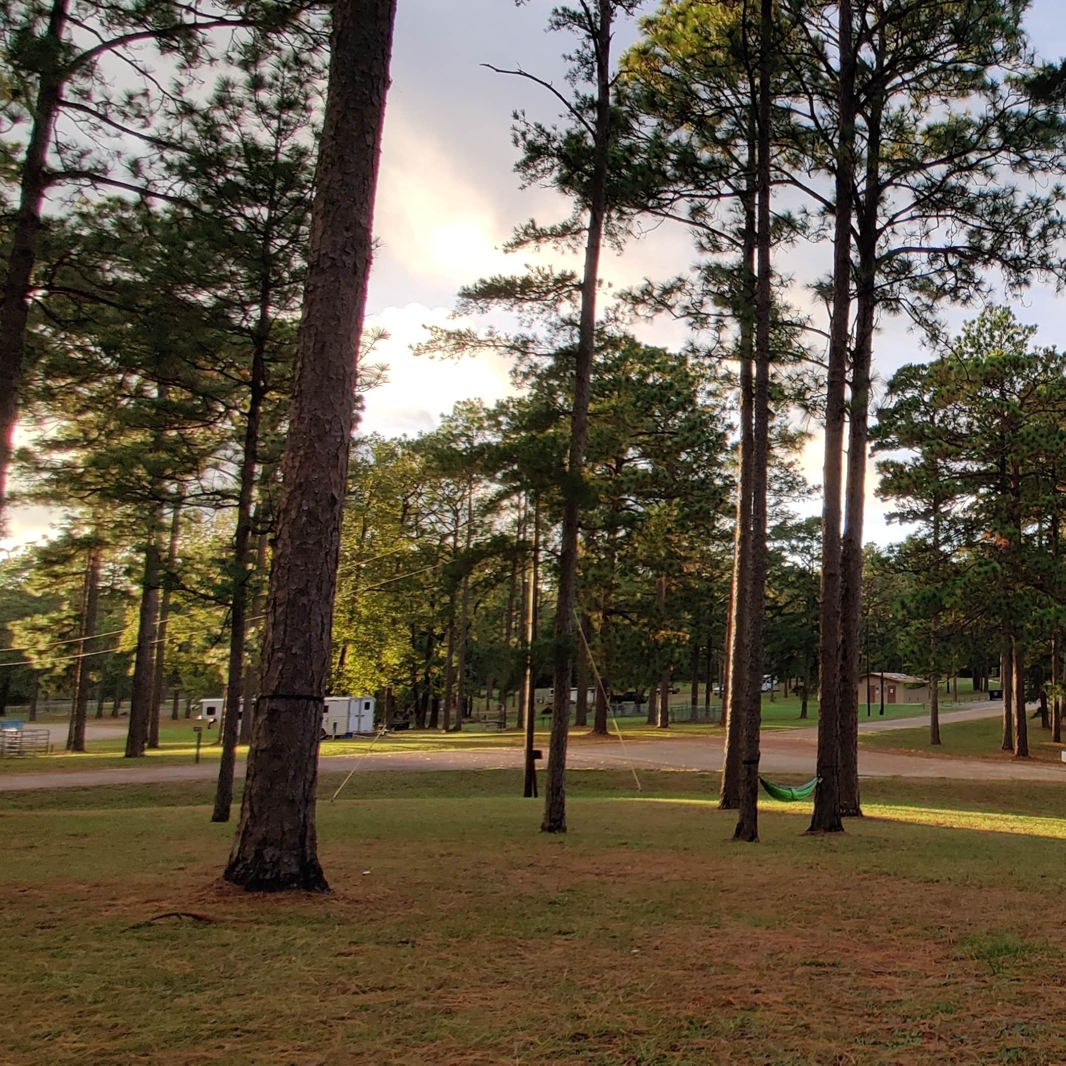Ebenezer Park Camping | The Dyrt