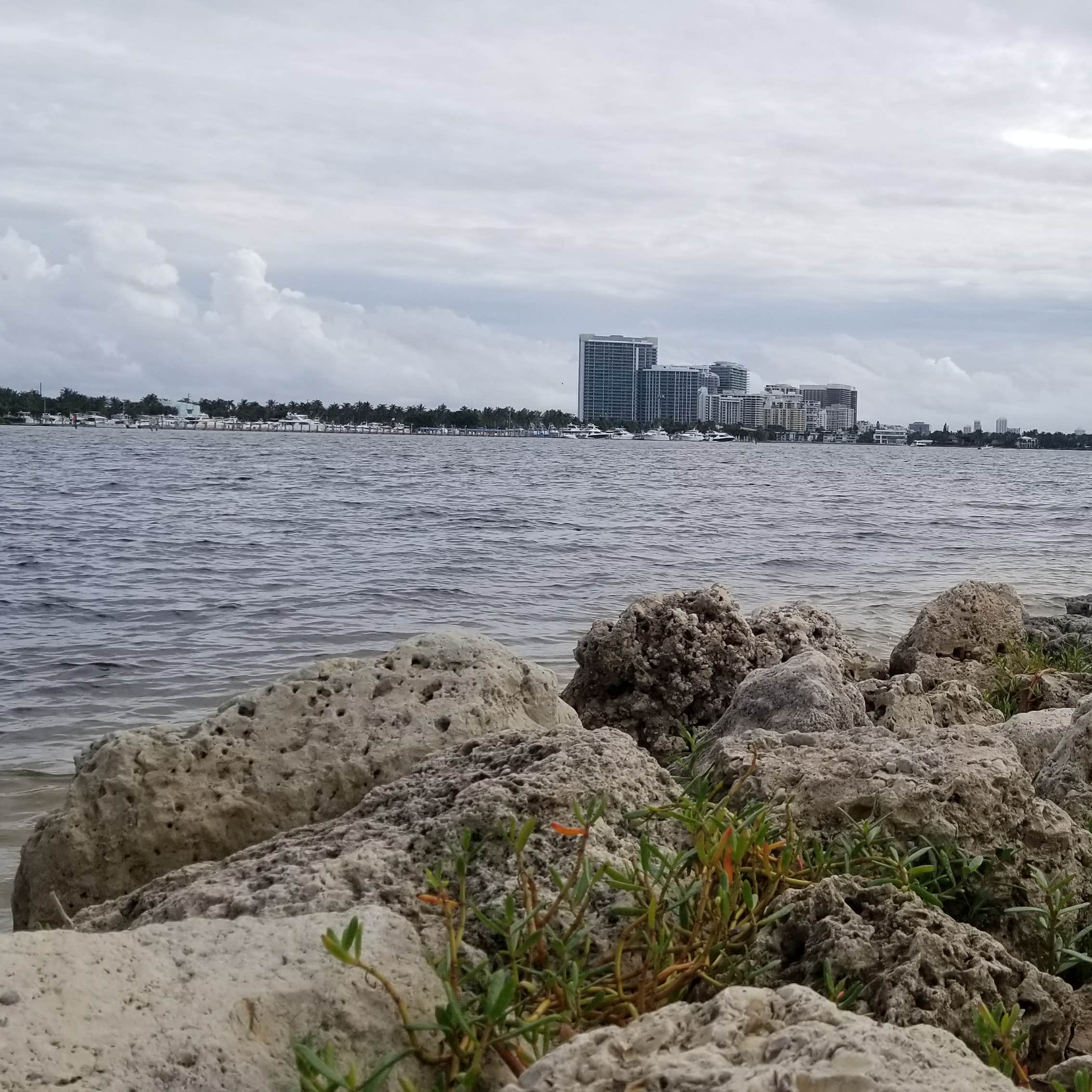 Oleta River State Park Camping | The Dyrt