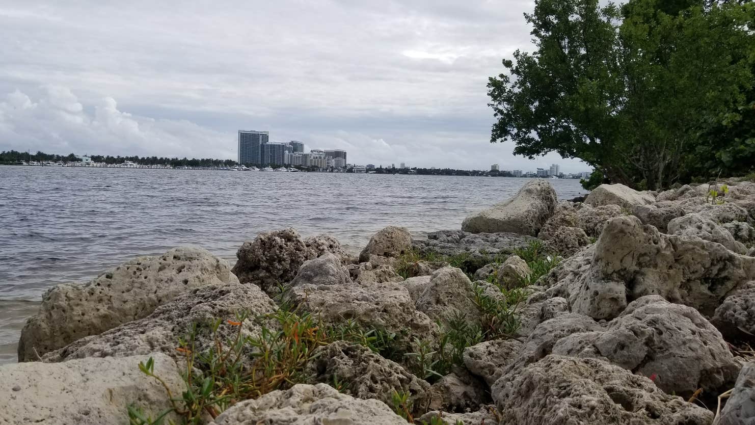 Oleta River State Park | The Dyrt