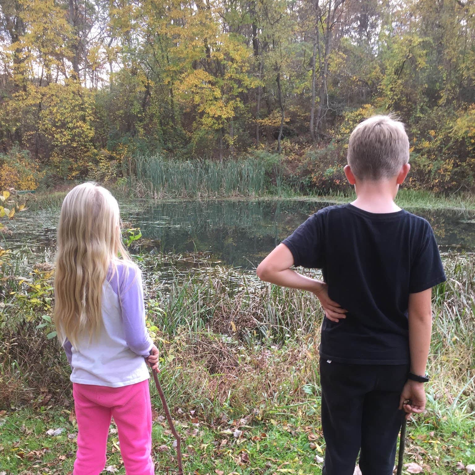 Merry Meadows Recreation Farm Camping | The Dyrt