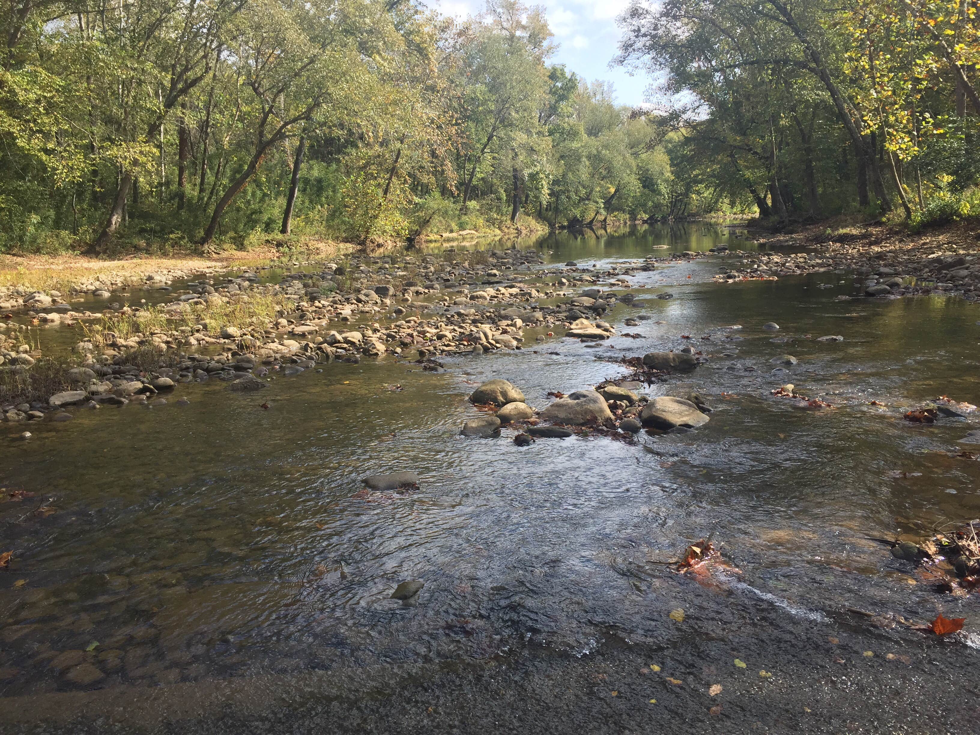 Erbie Campground | The Dyrt