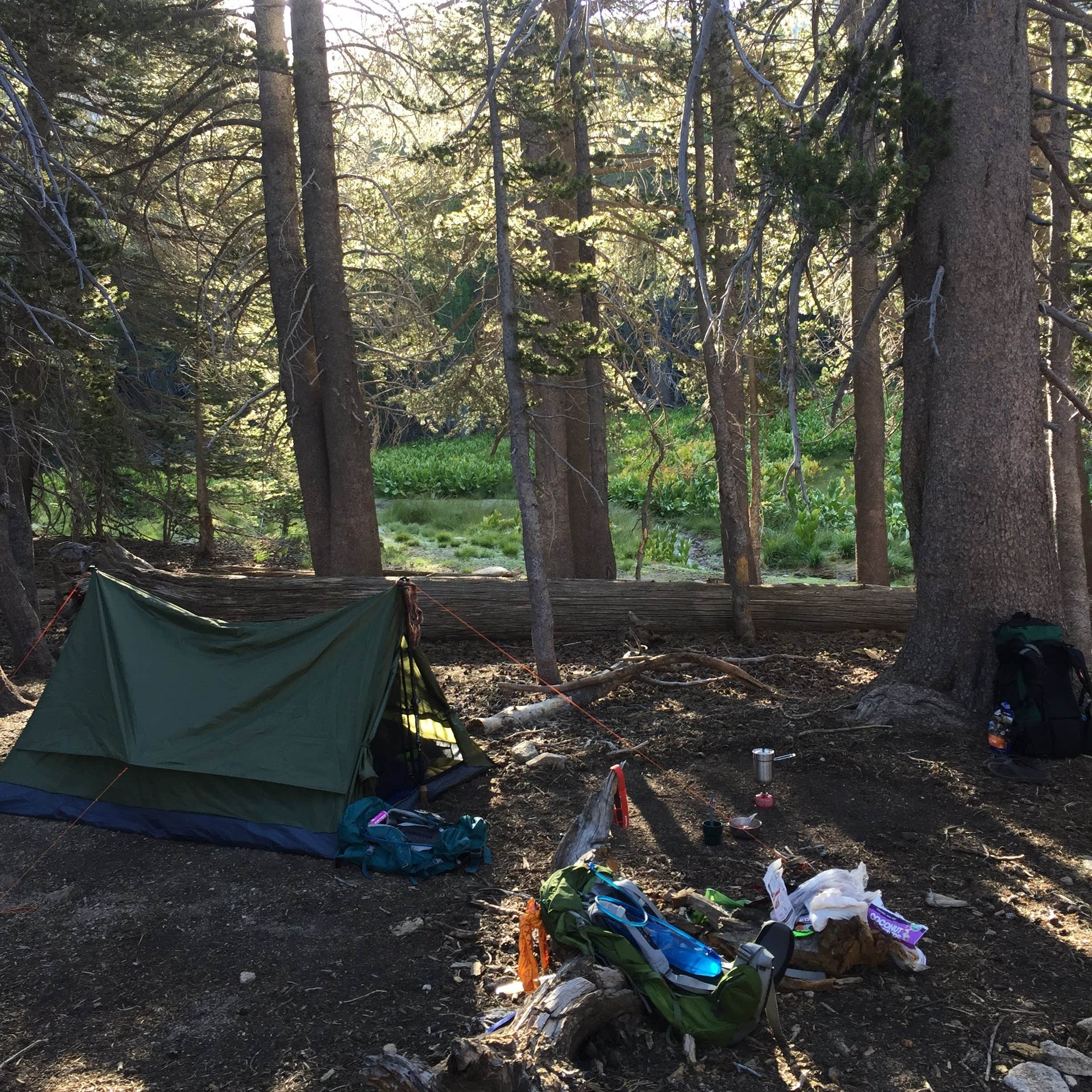 Little Round Valley — Mount San Jacinto State Park Camping | Idyllwild ...