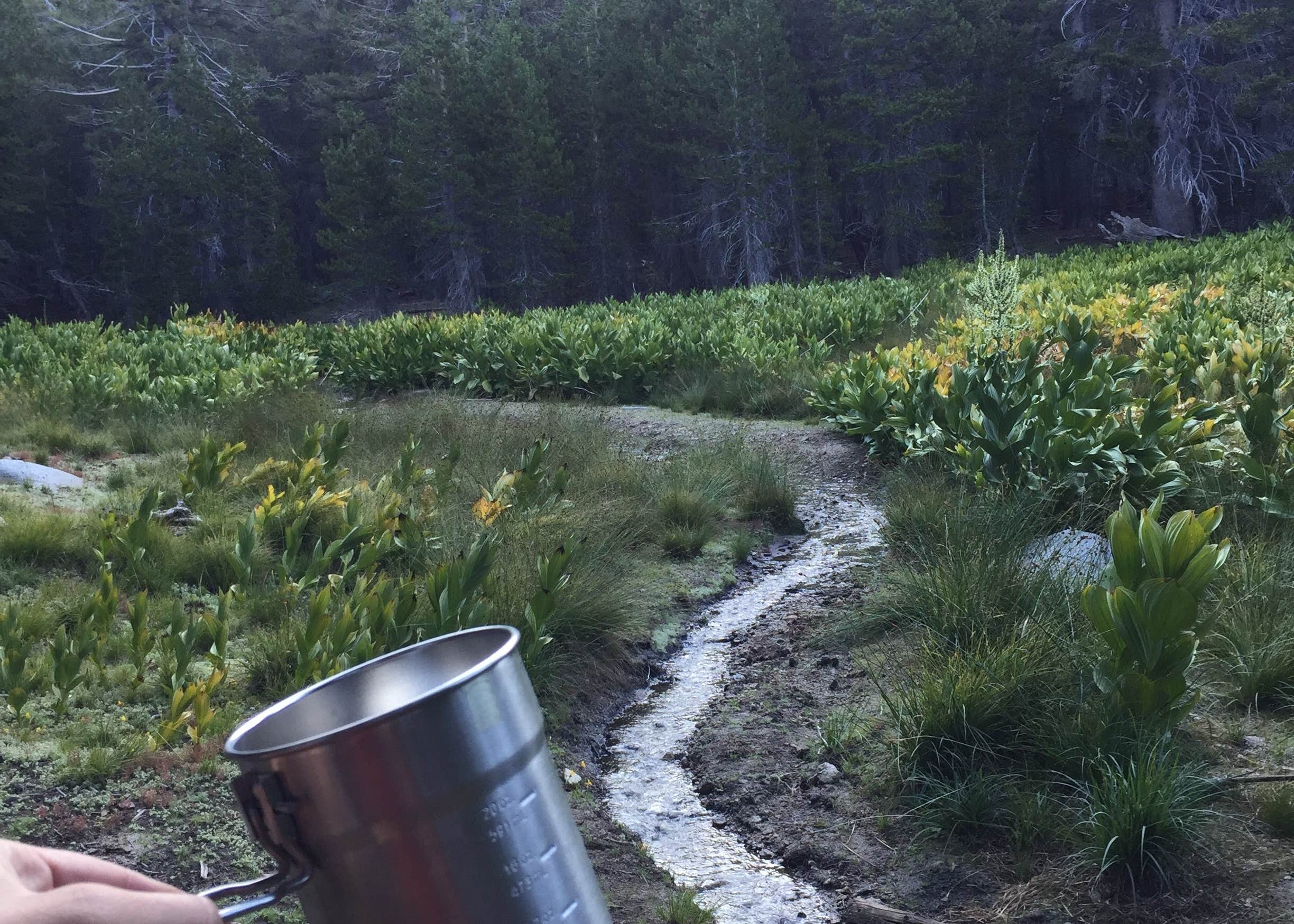 Little Round Valley - Mt San Jacinto State Park Camping | The Dyrt