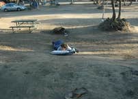 Lake Piru Recreation Area Camping | The Dyrt