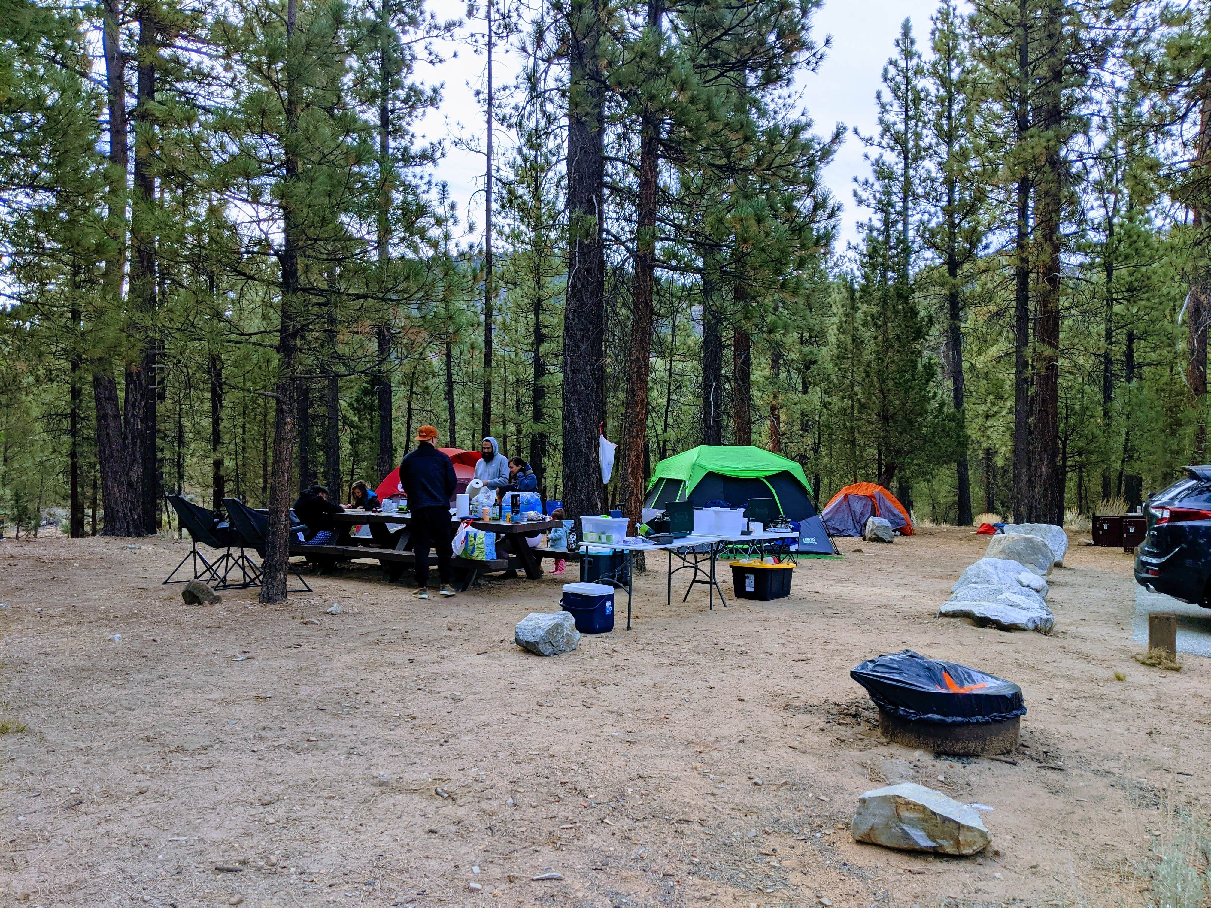 Heart Bar Campground | The Dyrt