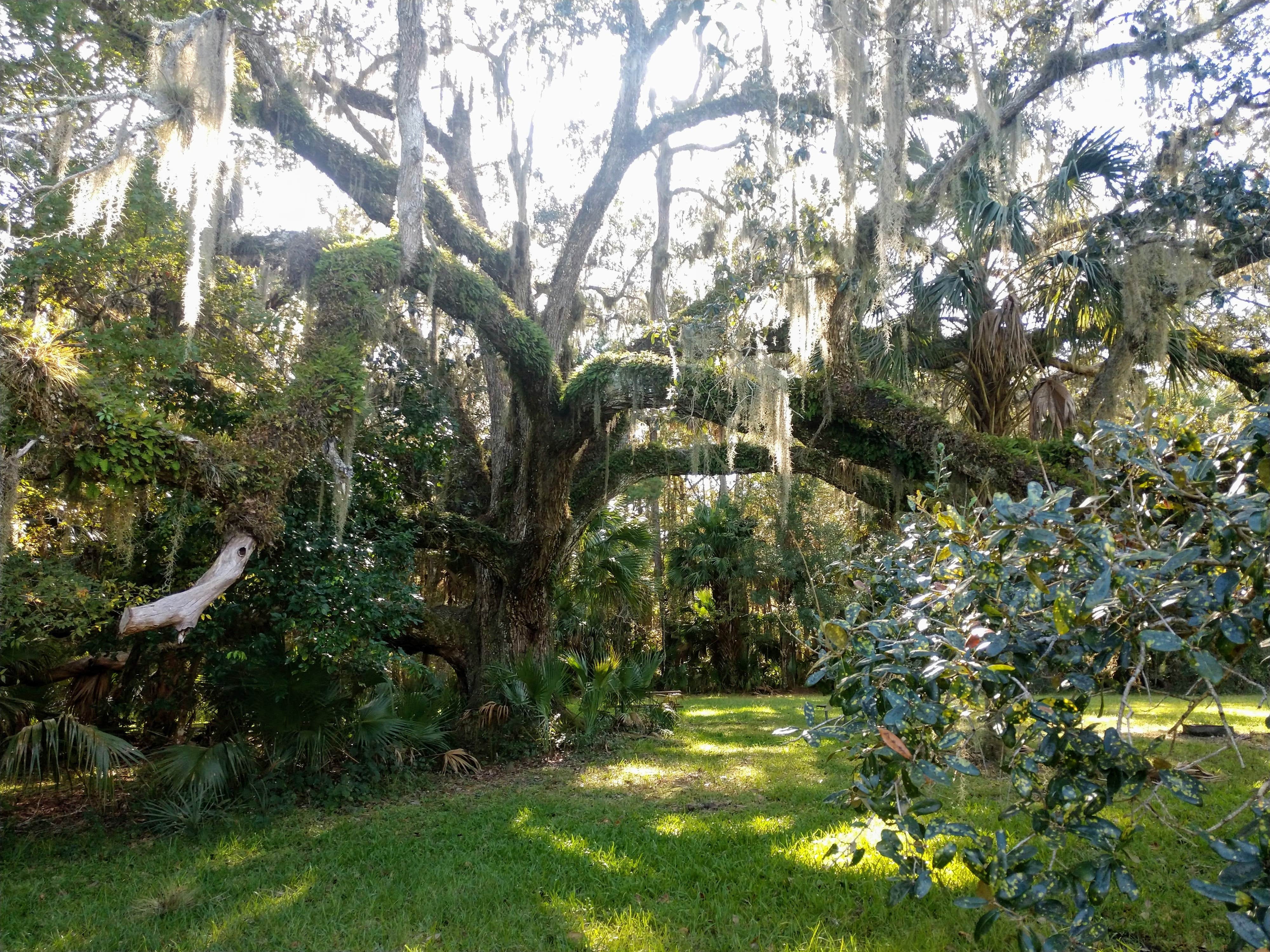 Potts Preserve | The Dyrt