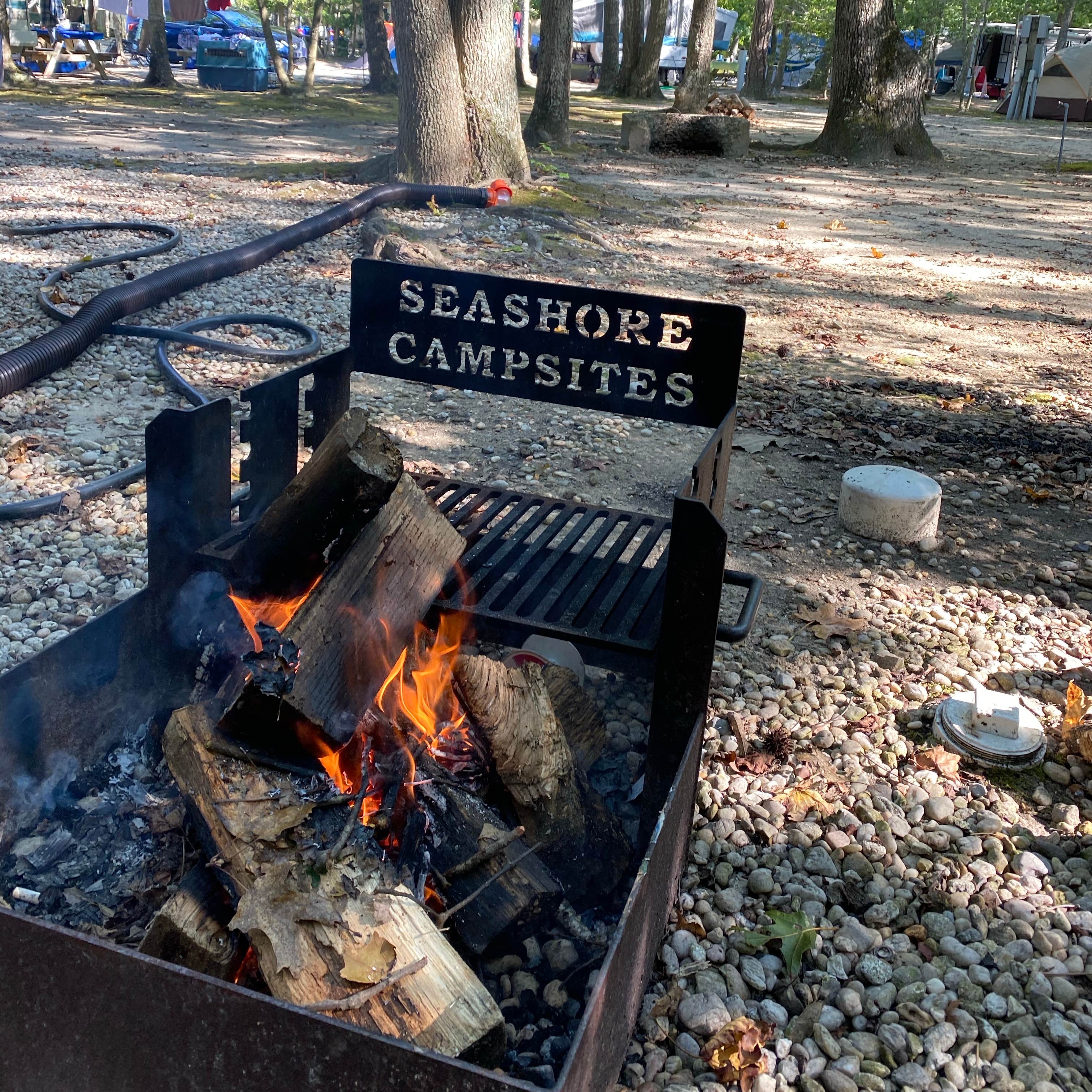 Sun Retreats Seashore Campsites & RV Resort Camping | The Dyrt