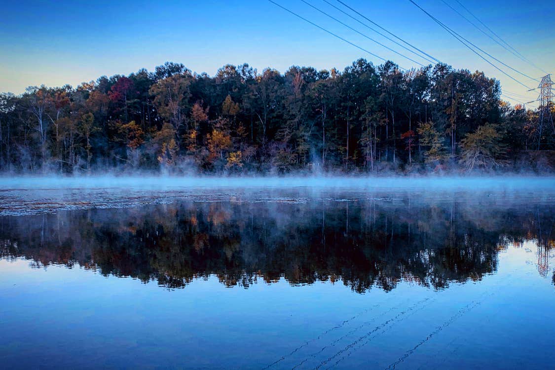 Lake Ouachita State Park | The Dyrt