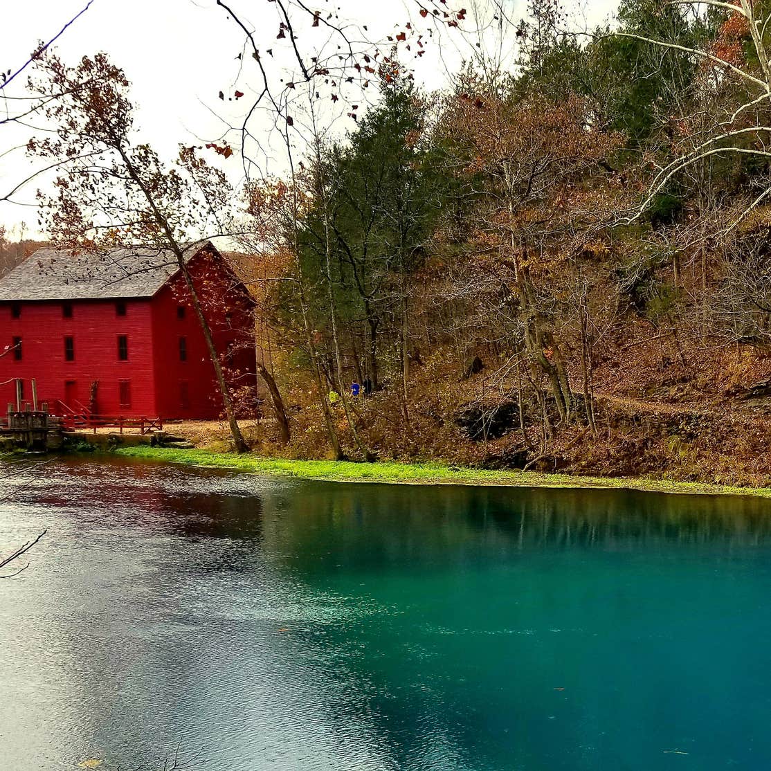 Alley Spring Camping | The Dyrt