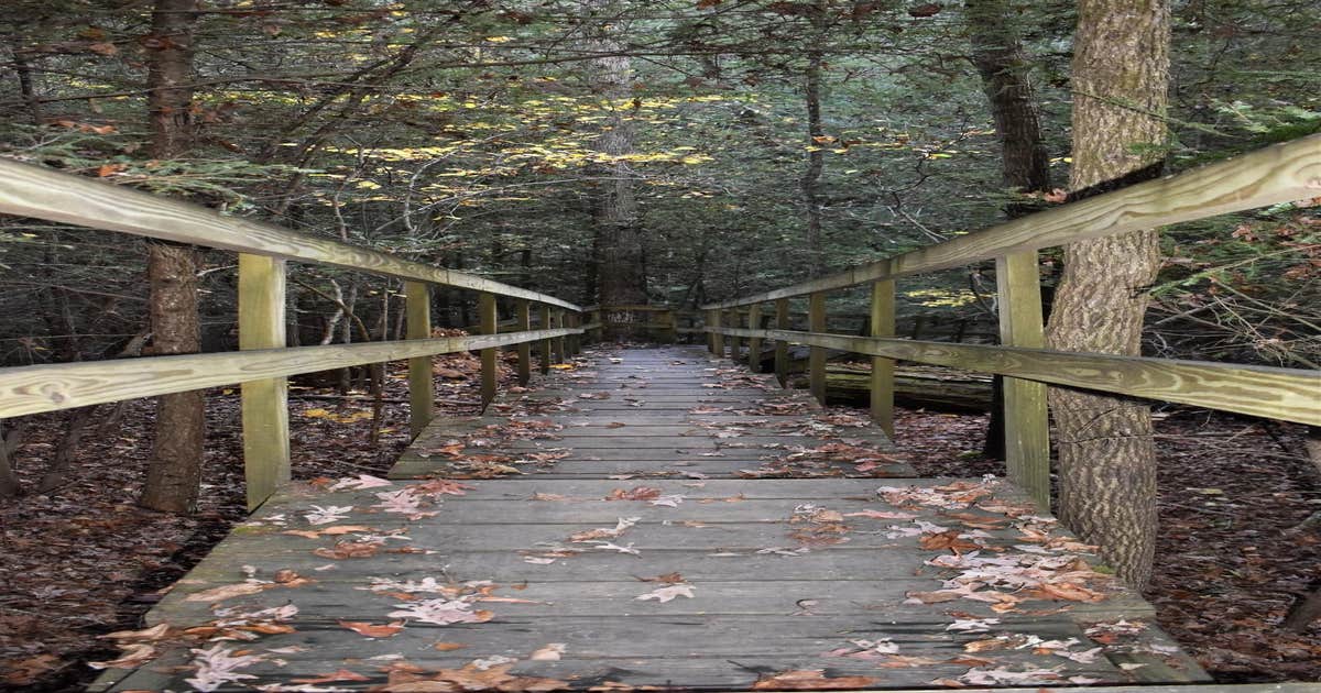 Shadow Lake RV Resort | Woodsfield, Ohio