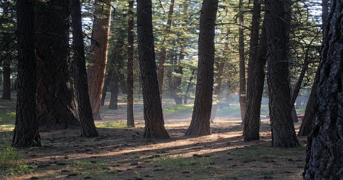 Three Sisters Overlook Campsite | Wrangell, Alaska