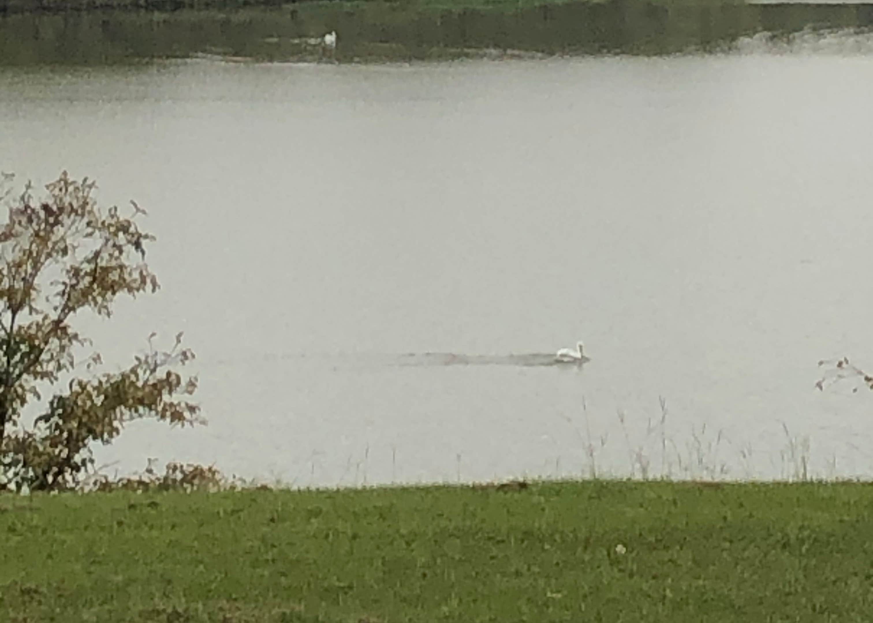 Spadra Park Campground Camping | The Dyrt