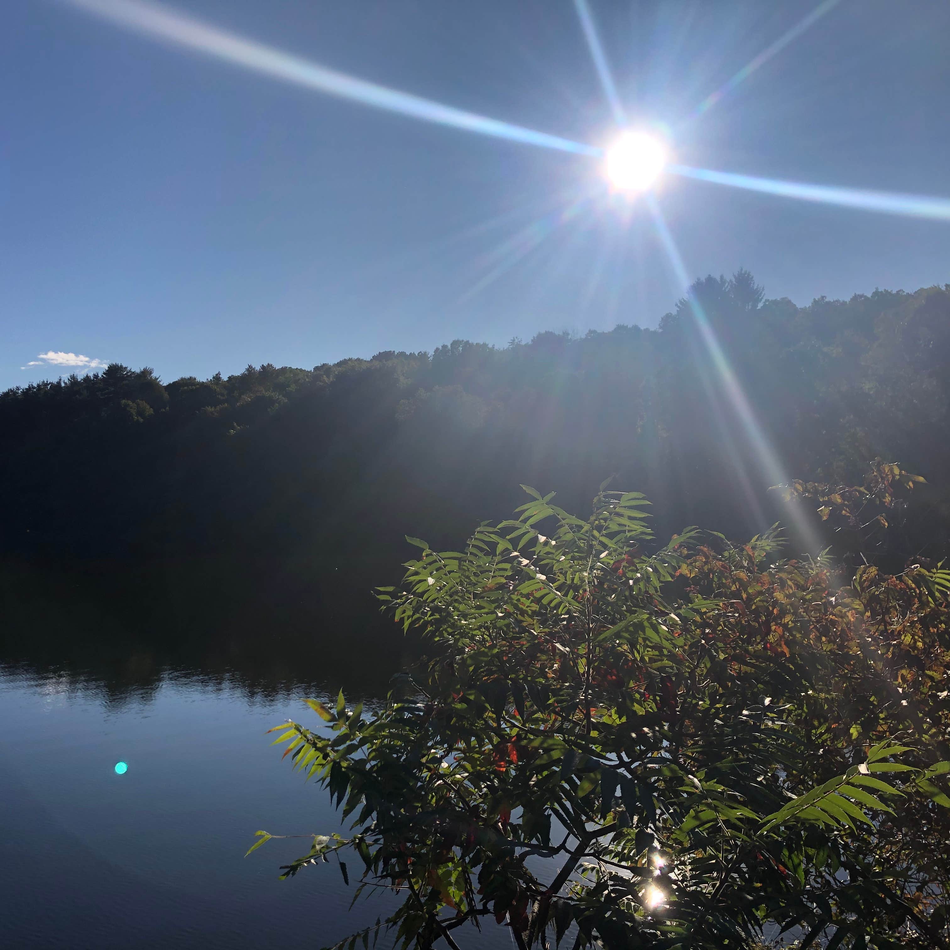 Frances Slocum State Park Camping | The Dyrt
