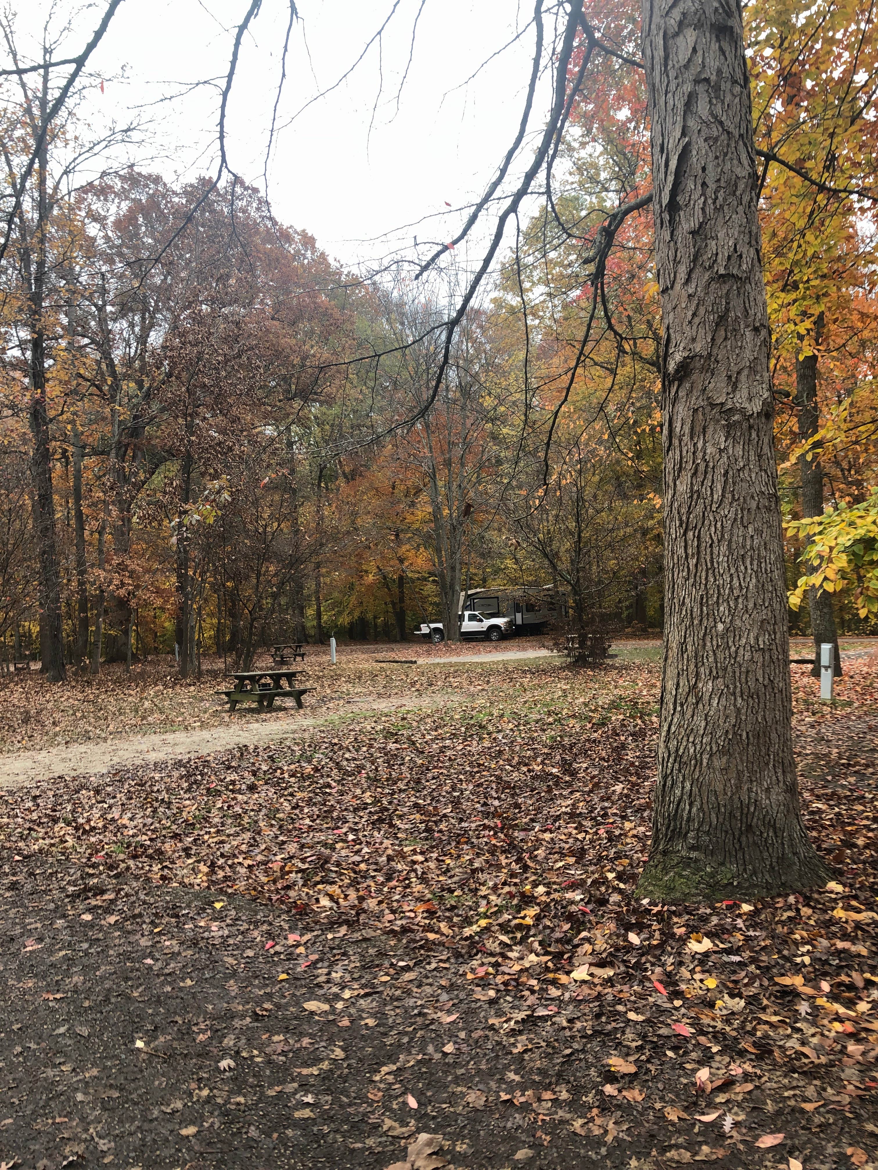 Monroe Lake Campground | The Dyrt