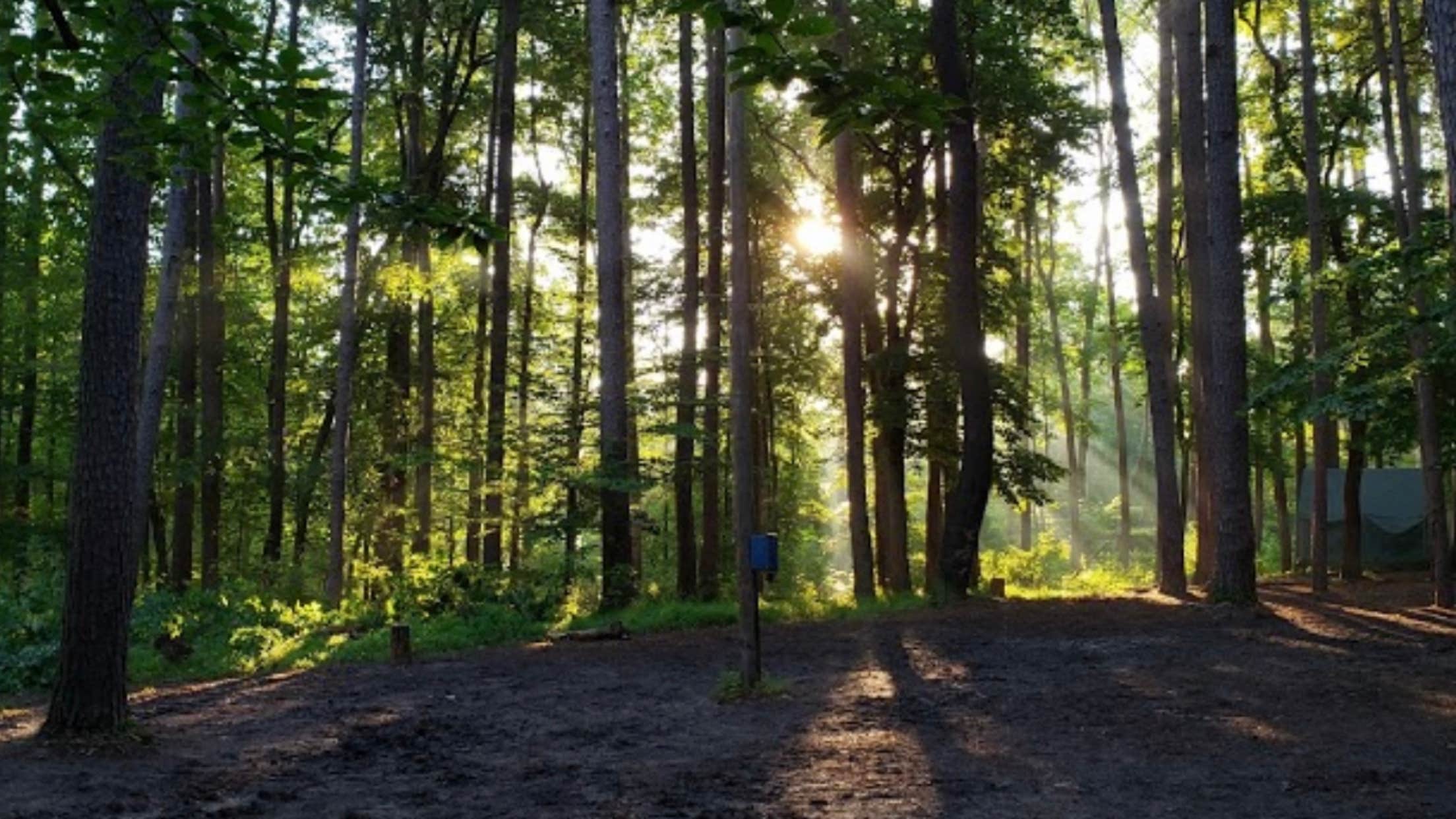 Ransburg Scout Reservation Camping | Harrodsburg, Indiana