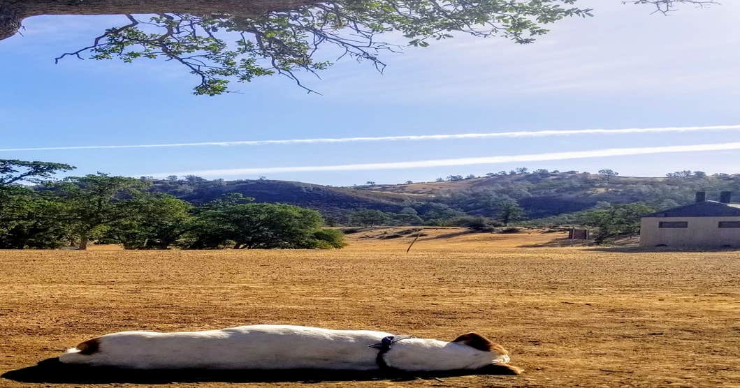 East Park Reservoir Camping | Stonyford, CA