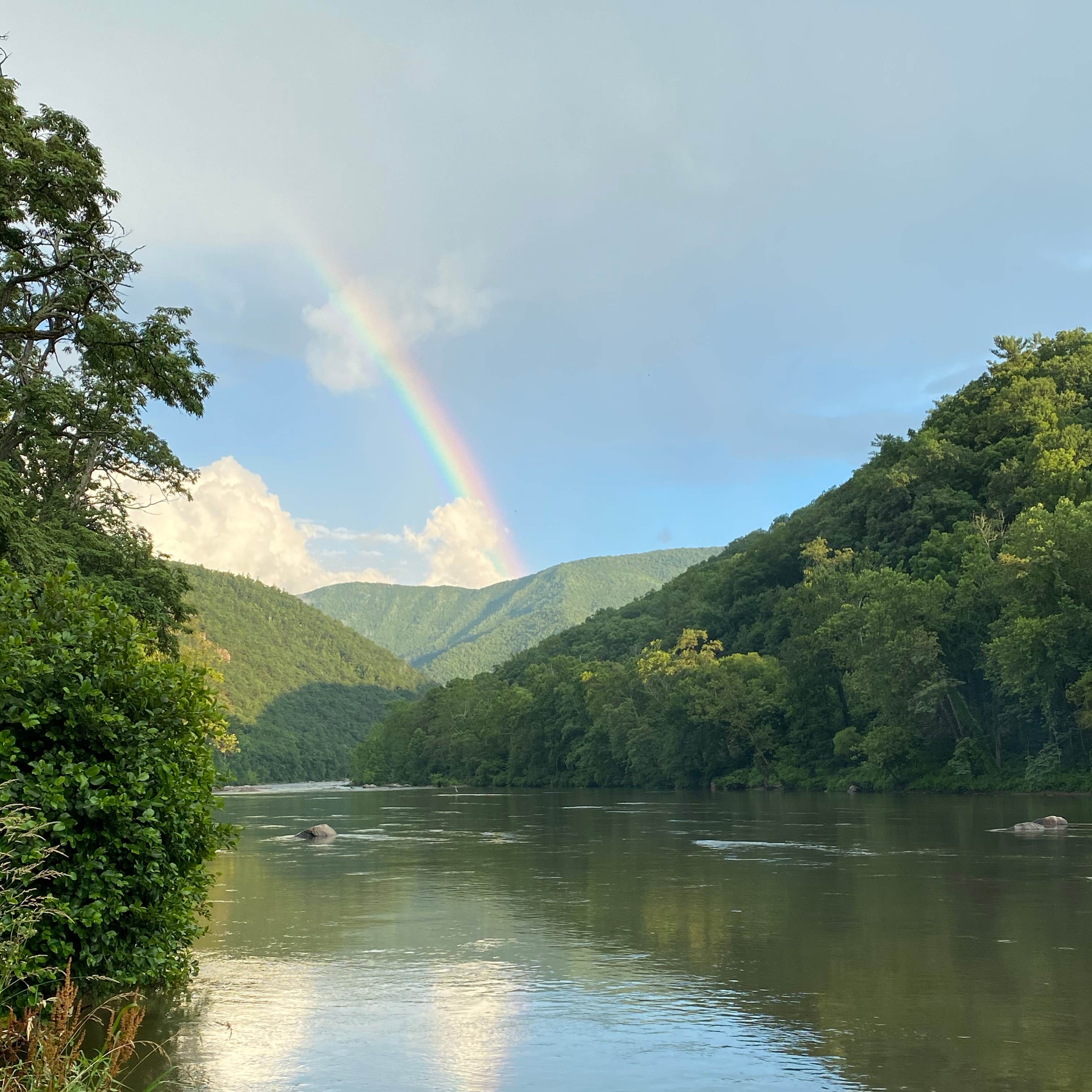 Nolichucky Gorge Campground Camping | The Dyrt