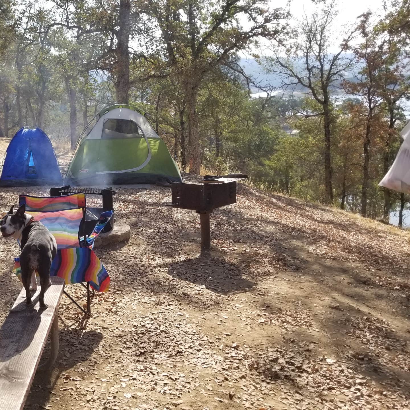 Tuttletown RA - Chamise - BOR Camping | Sonora, CA