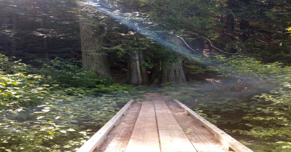 Browns Lake Campground Camping | Cusick, WA | The Dyrt