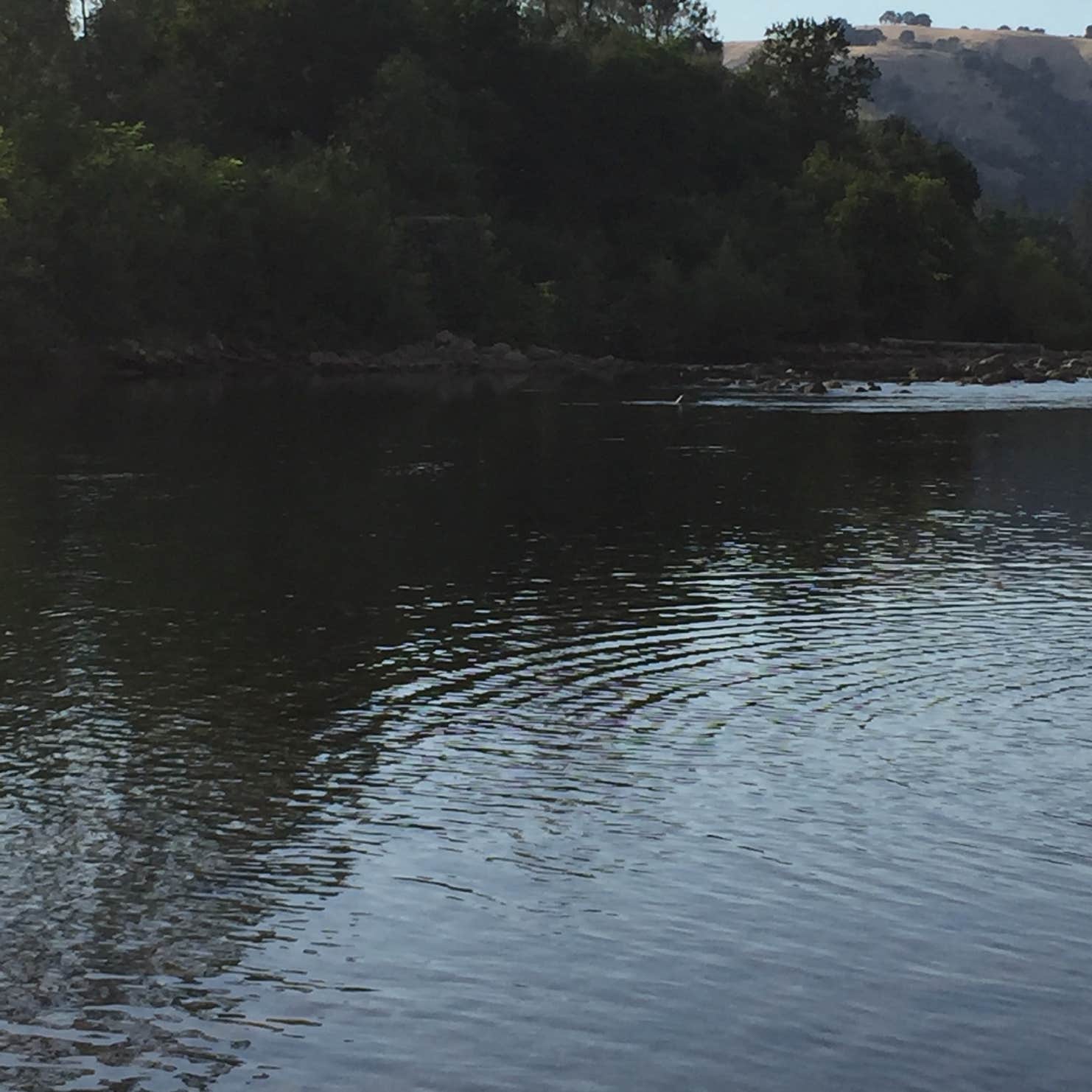 Coloma Resort Camping | The Dyrt