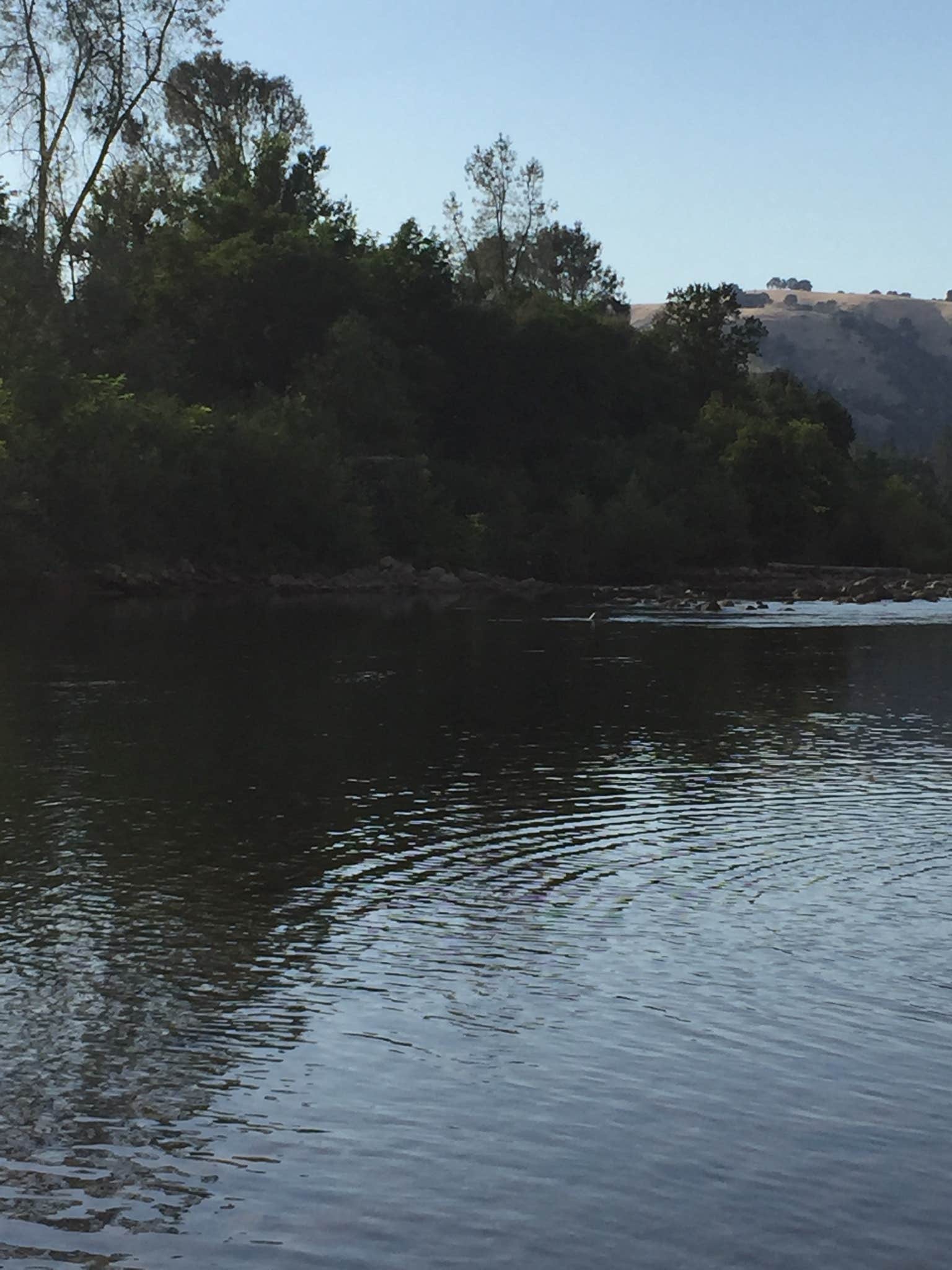 Coloma Resort Camping | Coloma, CA