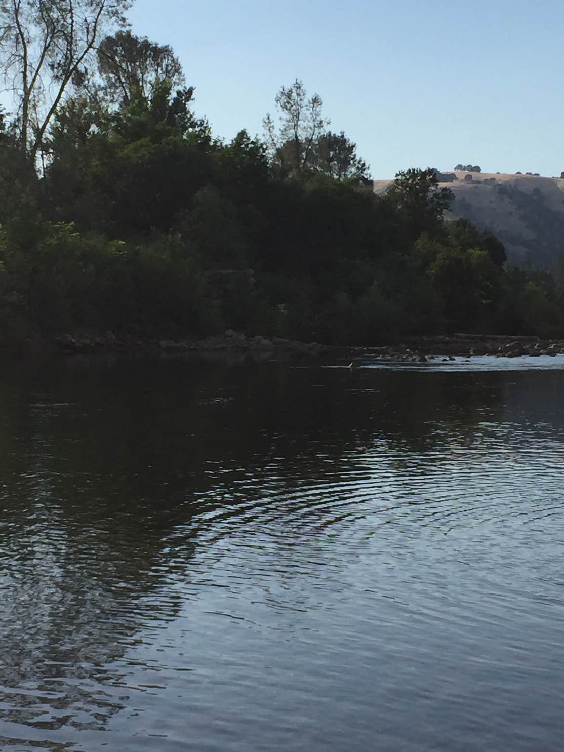 Coloma Resort | The Dyrt