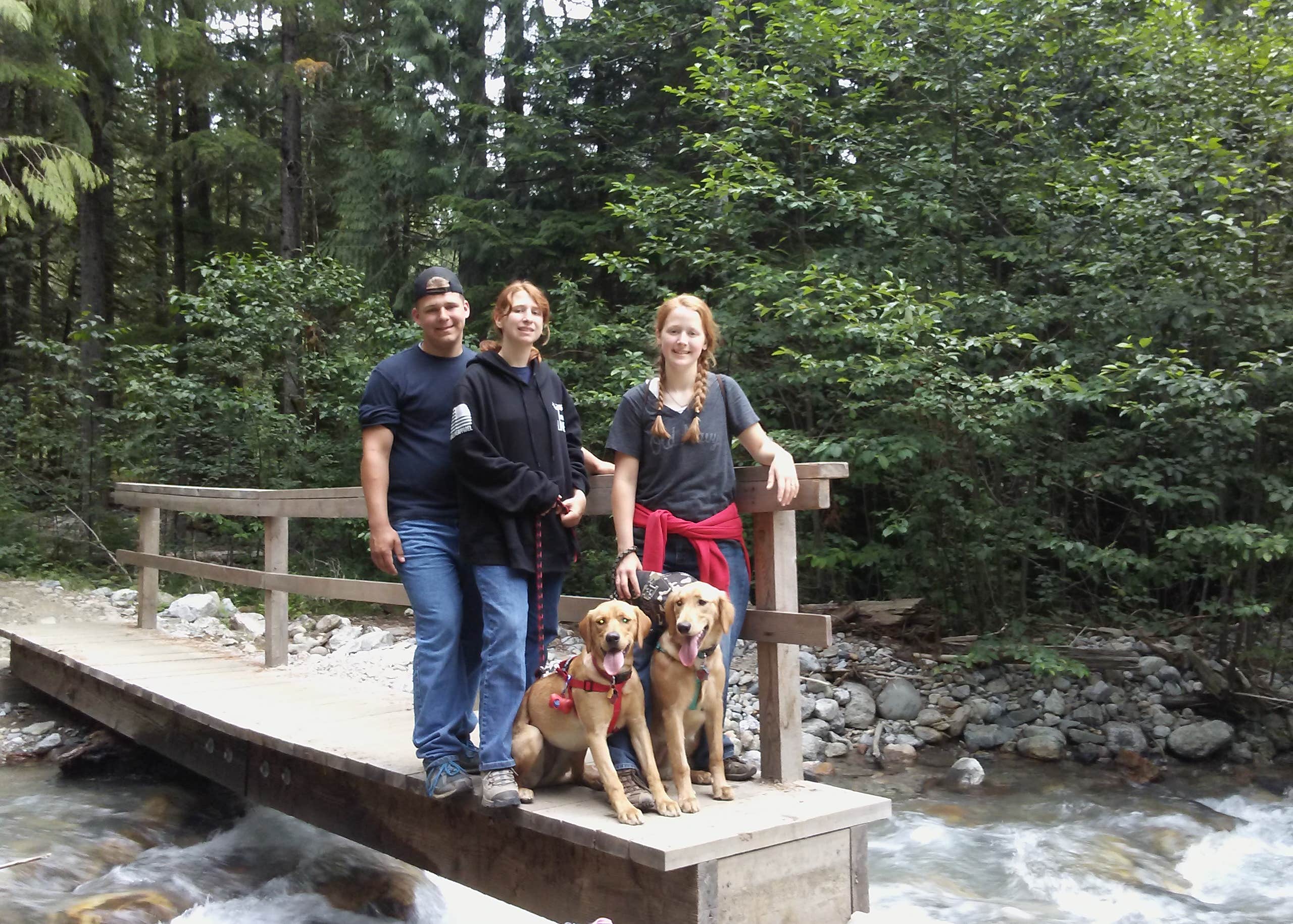 Newhalem Creek Campground Camping | The Dyrt