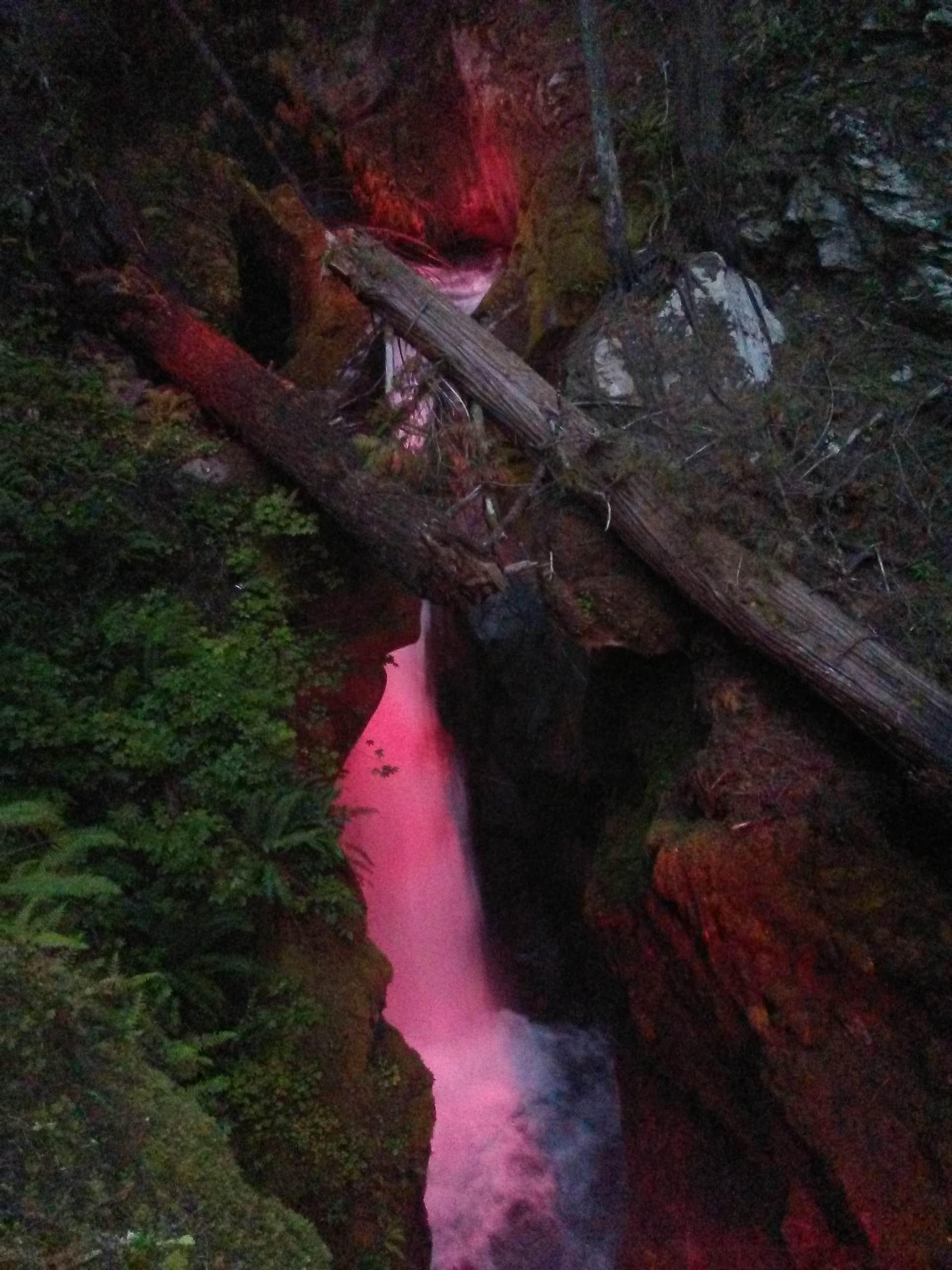 Newhalem Creek Campground — Ross Lake National Recreation Area ...
