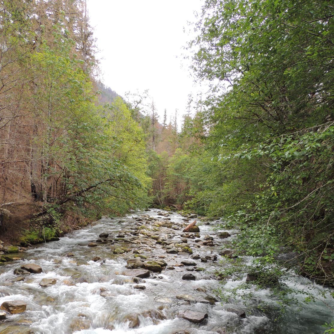 Newhalem Creek Campground Camping | The Dyrt