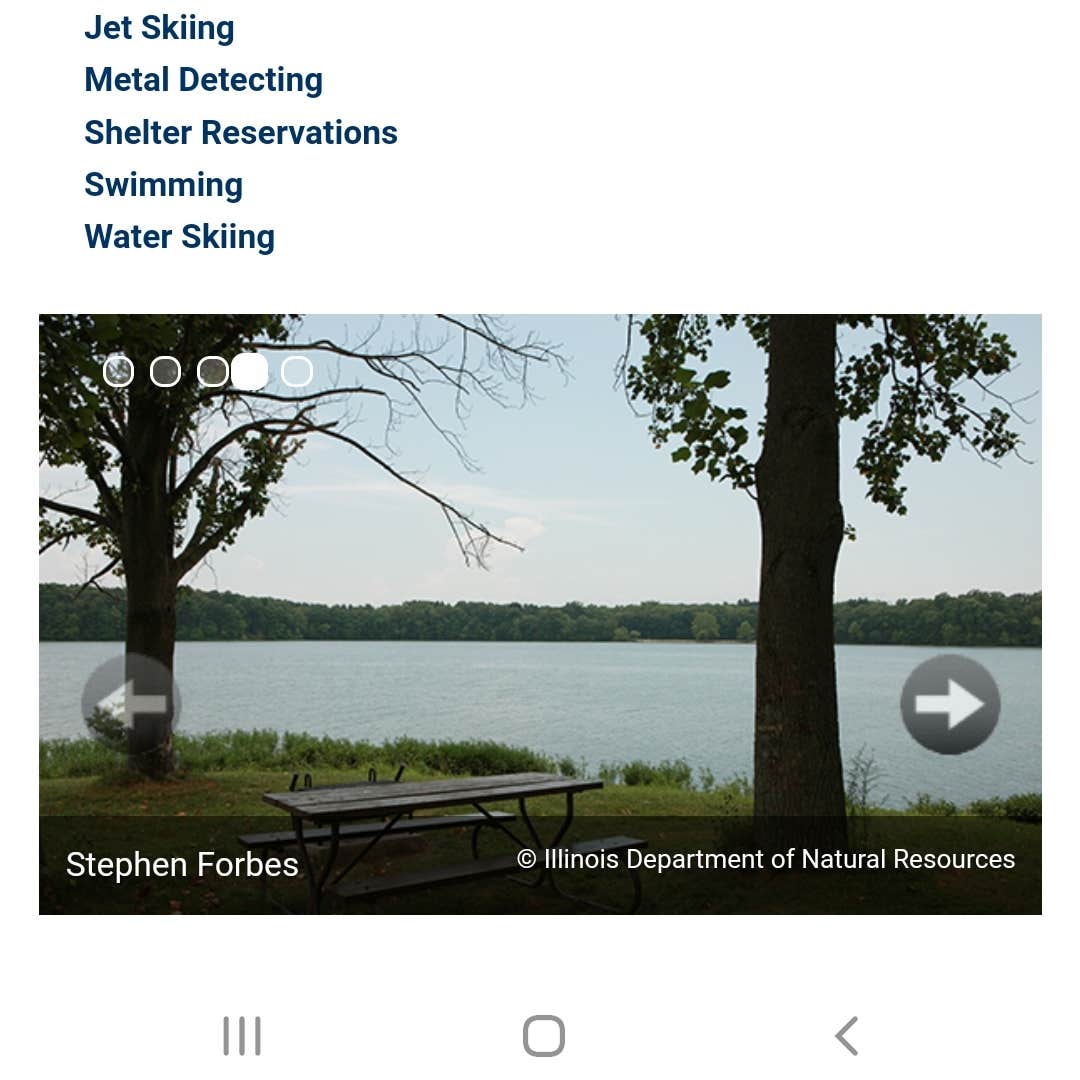 Stephen A. Forbes State Recreation Area Camping | Kinmundy, Illinois