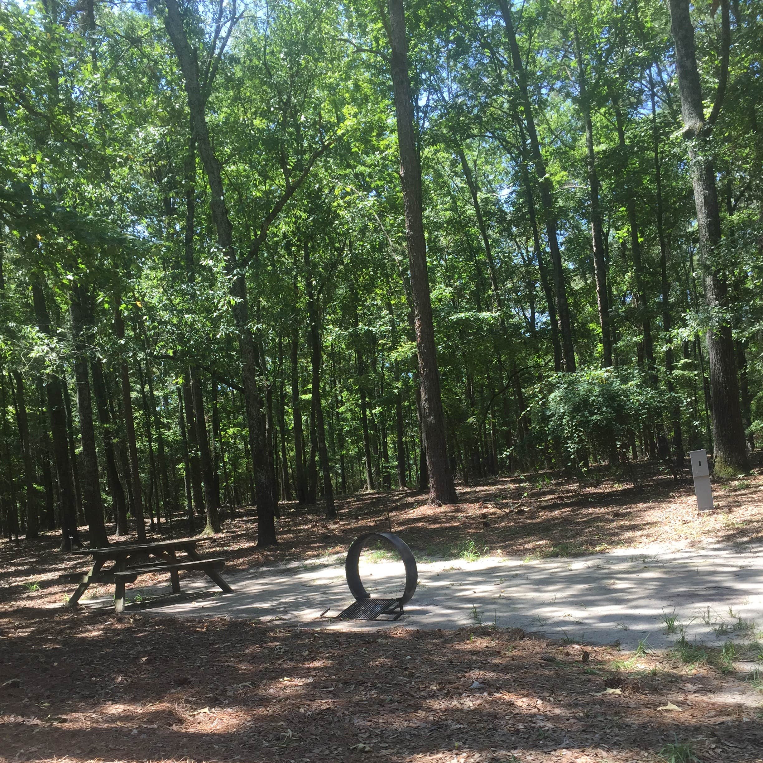 Santee State Park--Cypress View Campground Camping | The Dyrt