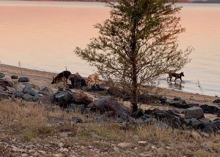 Brushy Creek Camping | The Dyrt