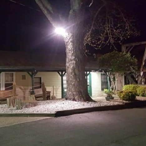 Anvil Campground Camping | The Dyrt