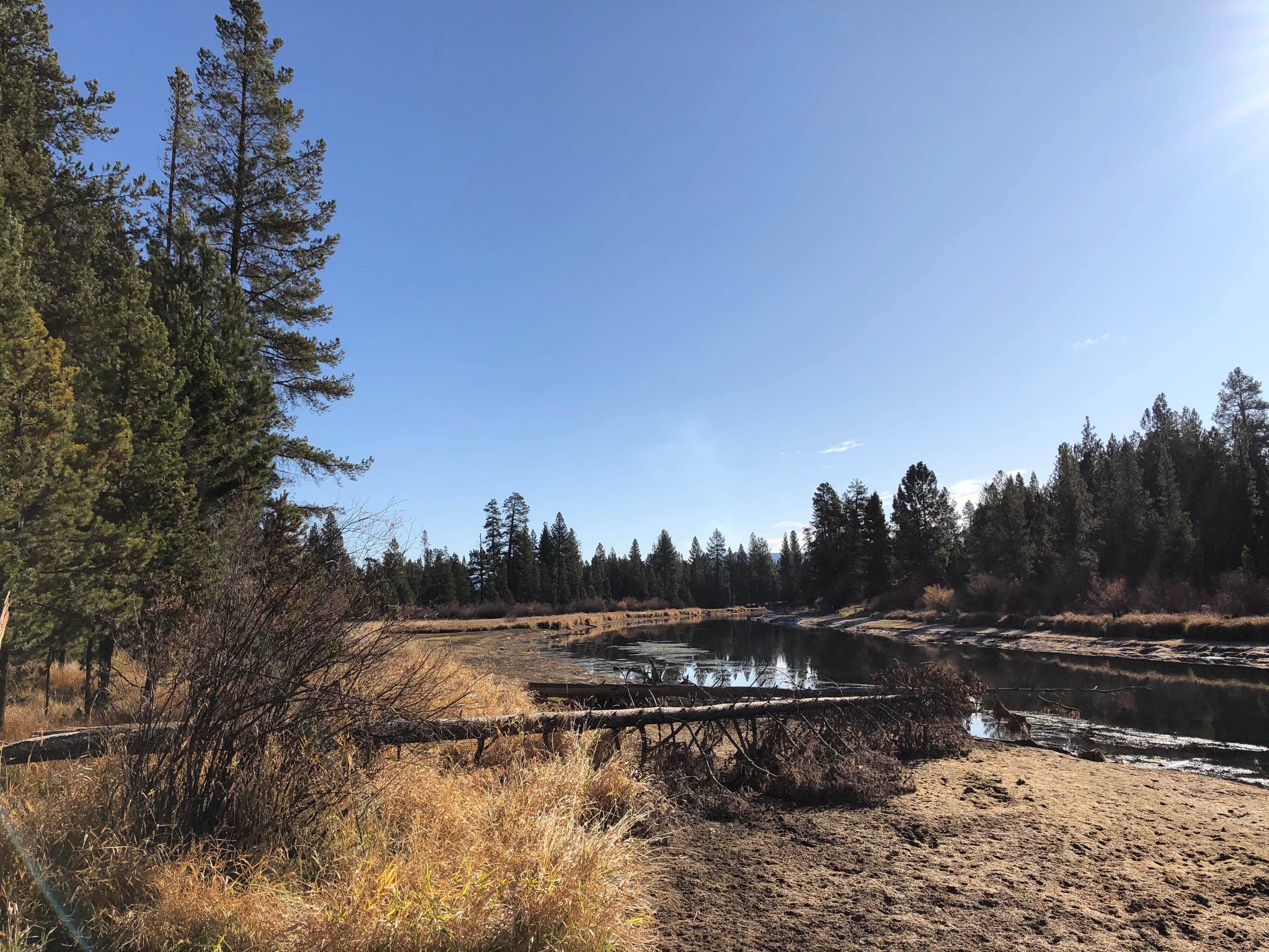 Big River | The Dyrt