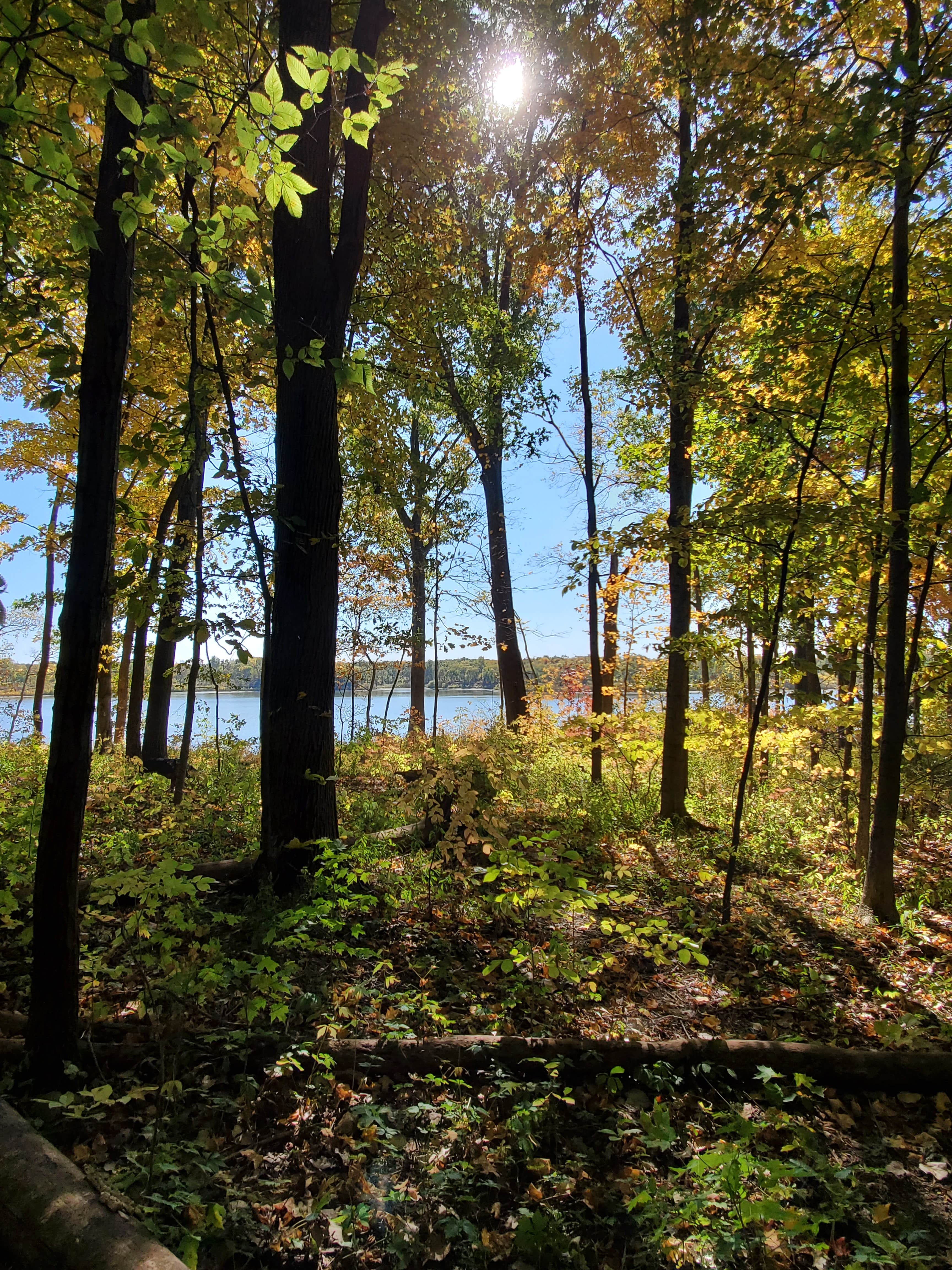 Kil-So-Quah - J. Edward Roush Lake | The Dyrt