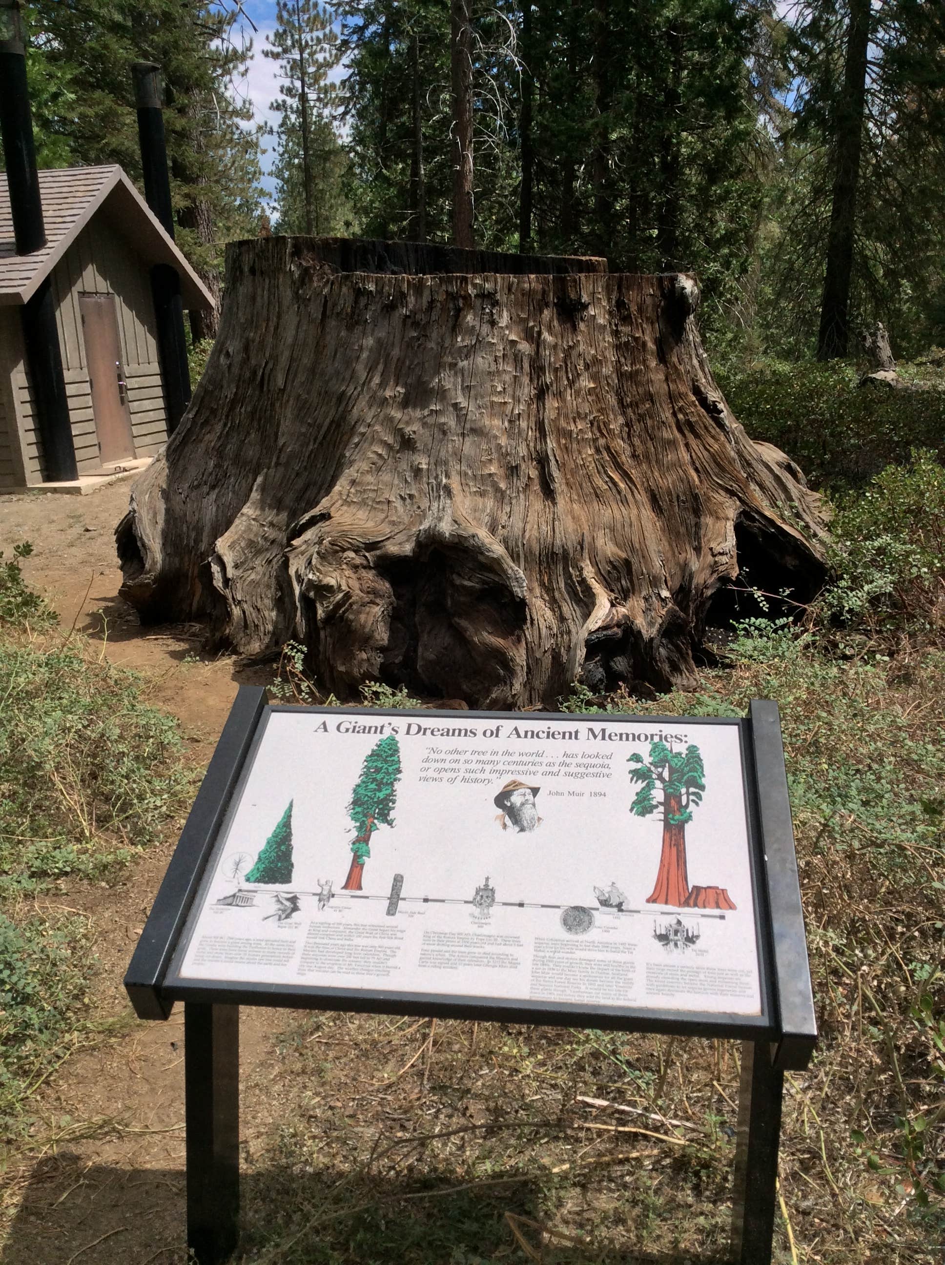 Princess Camping | Hume, CA