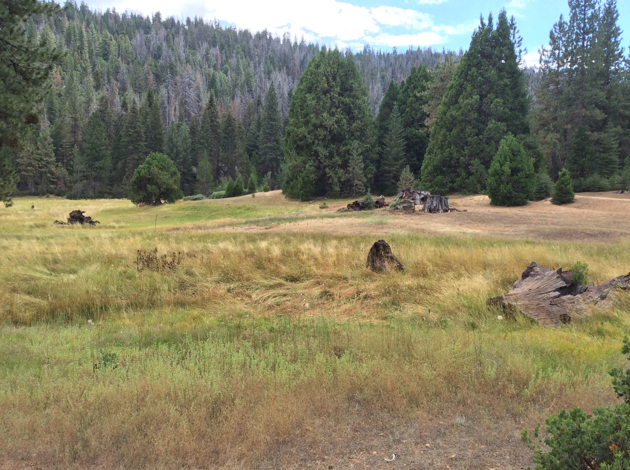 Princess Camping | The Dyrt