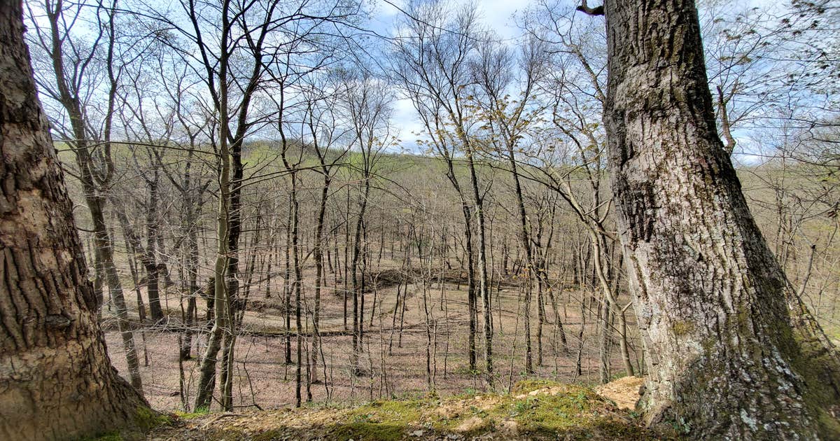 Knobstone Trail Camping | Borden, Indiana