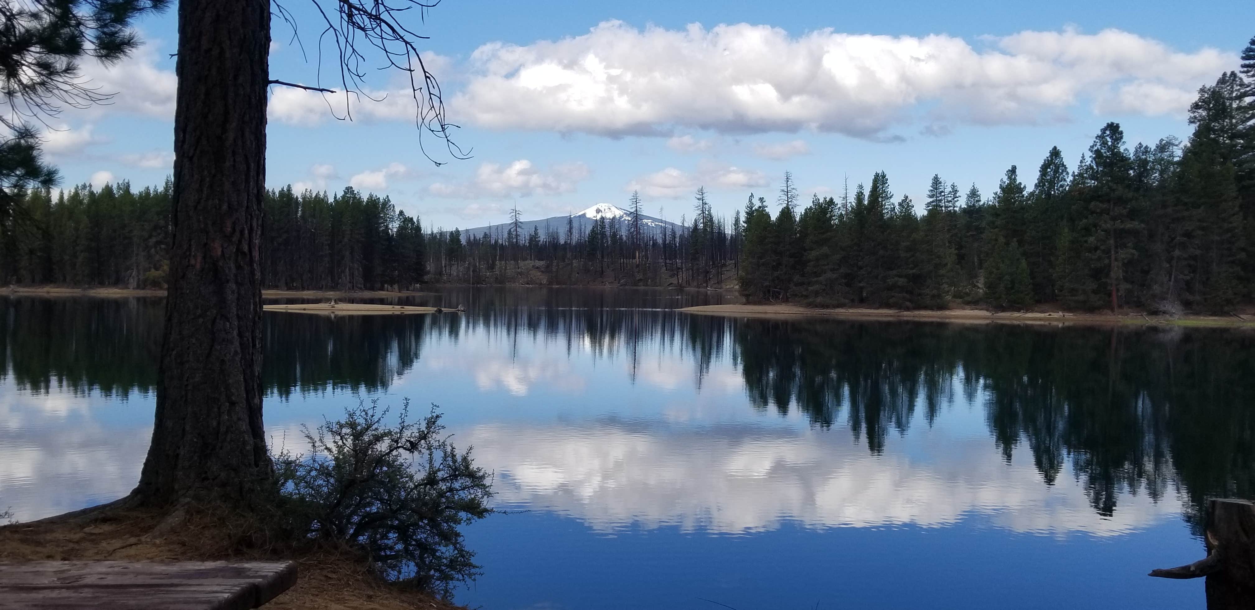 Sheep Bridge Camping | Bend, OR