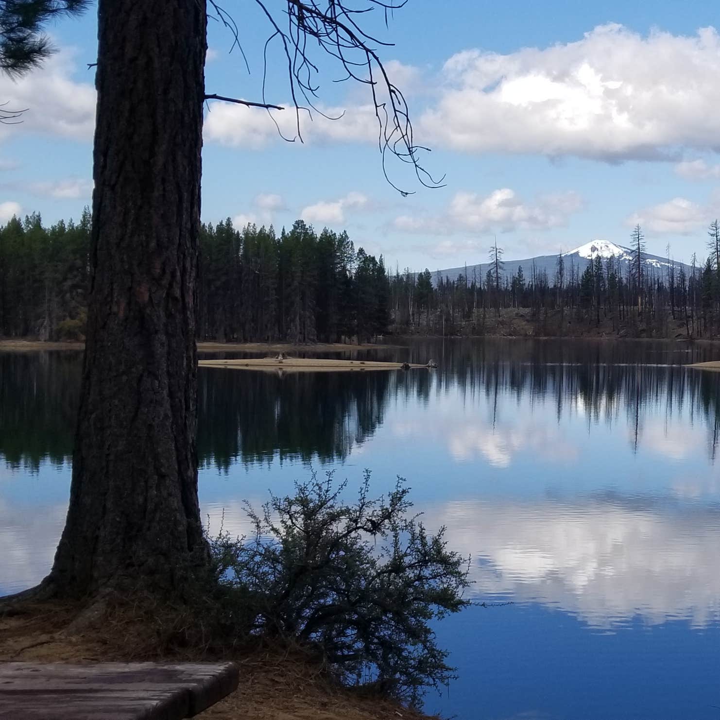 Sheep Bridge Camping | La Pine, Oregon