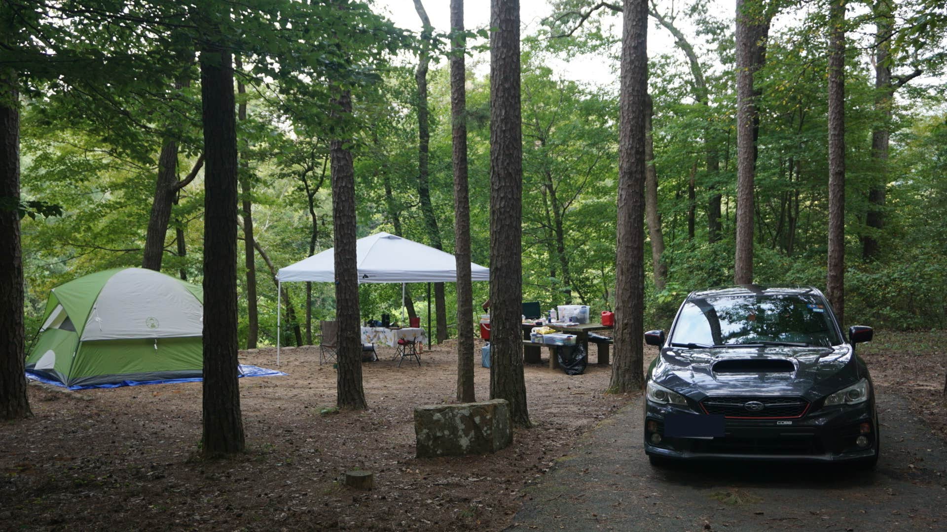 Long Pool Recreation Area | The Dyrt