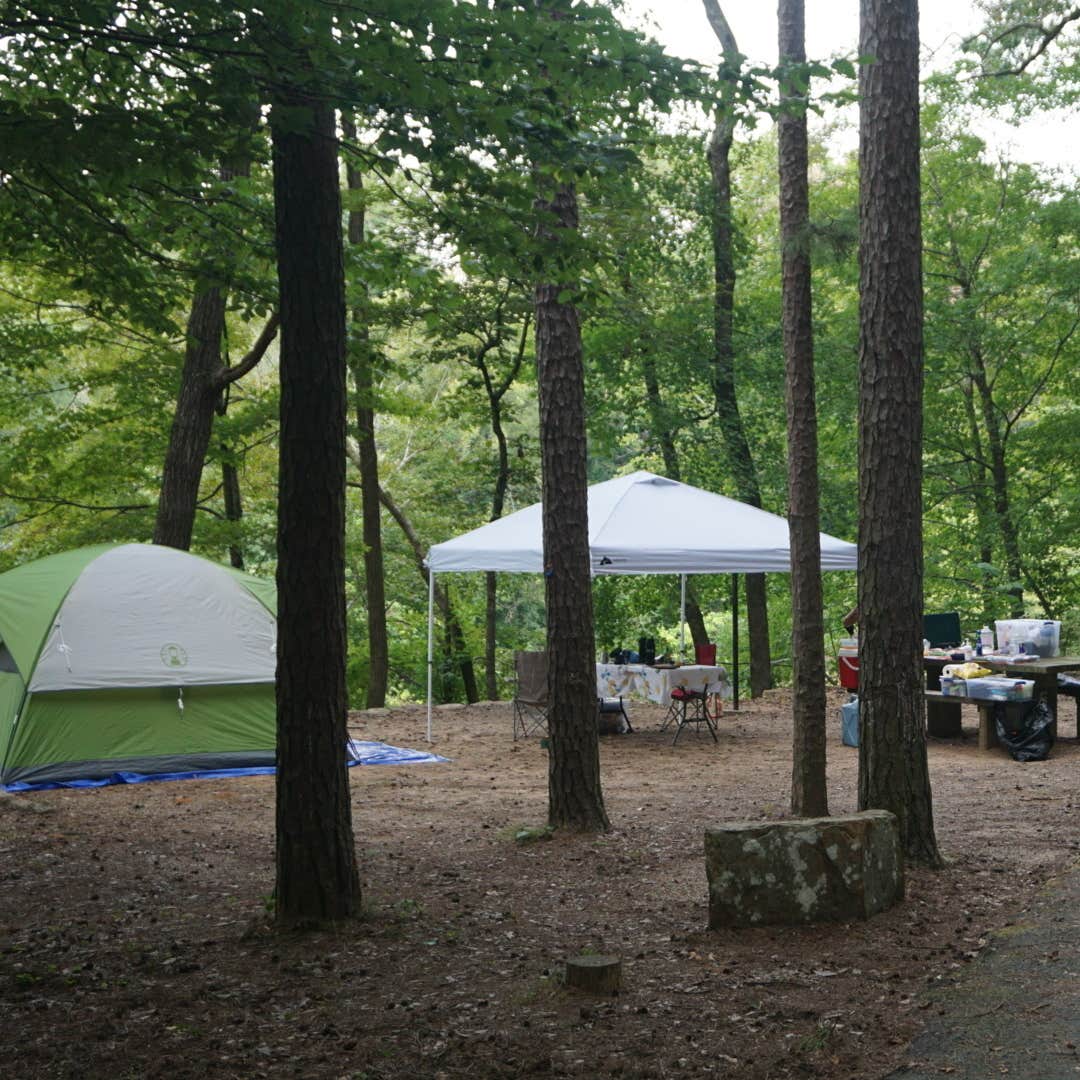 Long Pool Recreation Area Camping | Hagarville, Arkansas