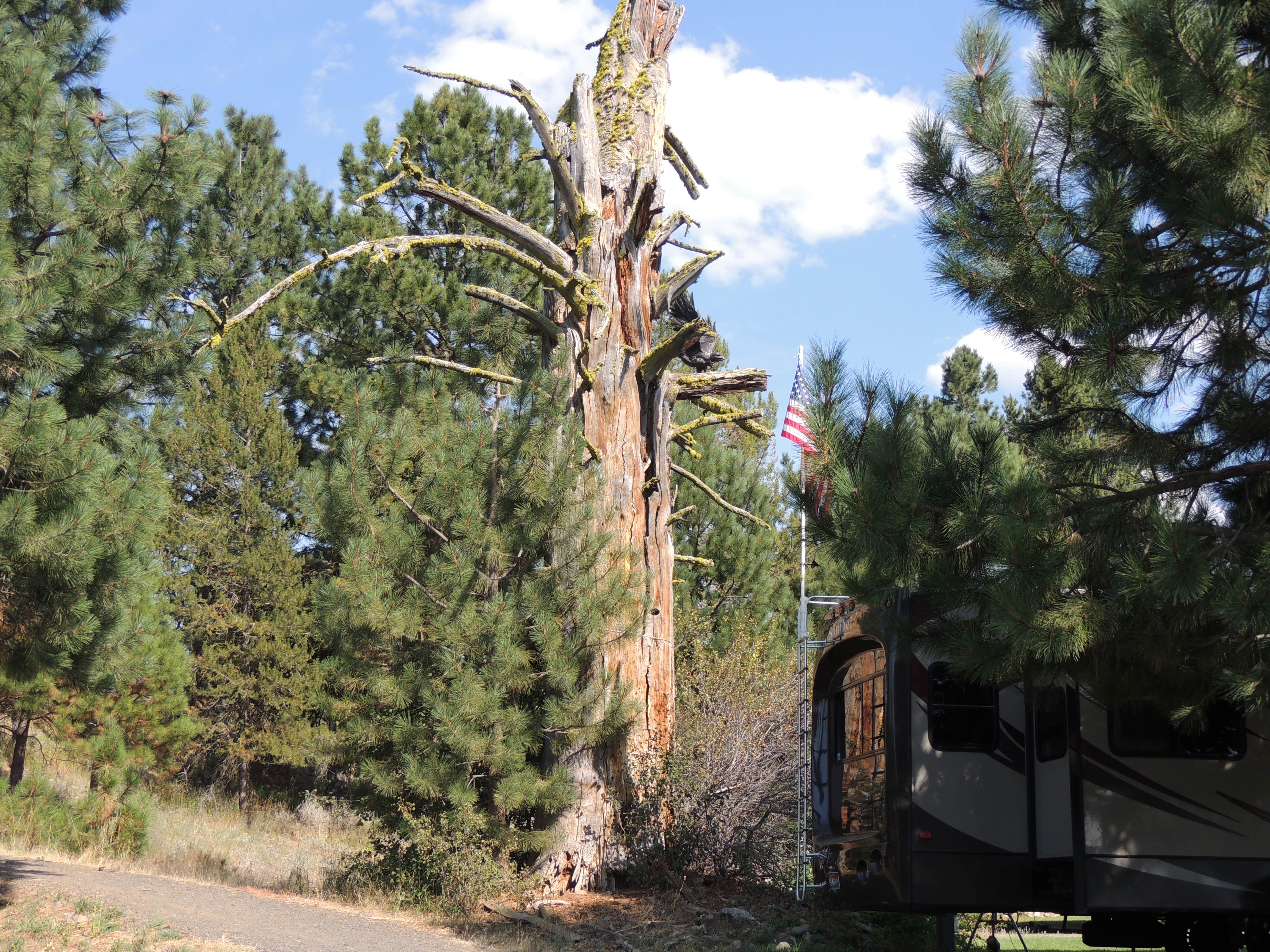 McCall RV Resort - Northfolk Lodge | McCall, Idaho