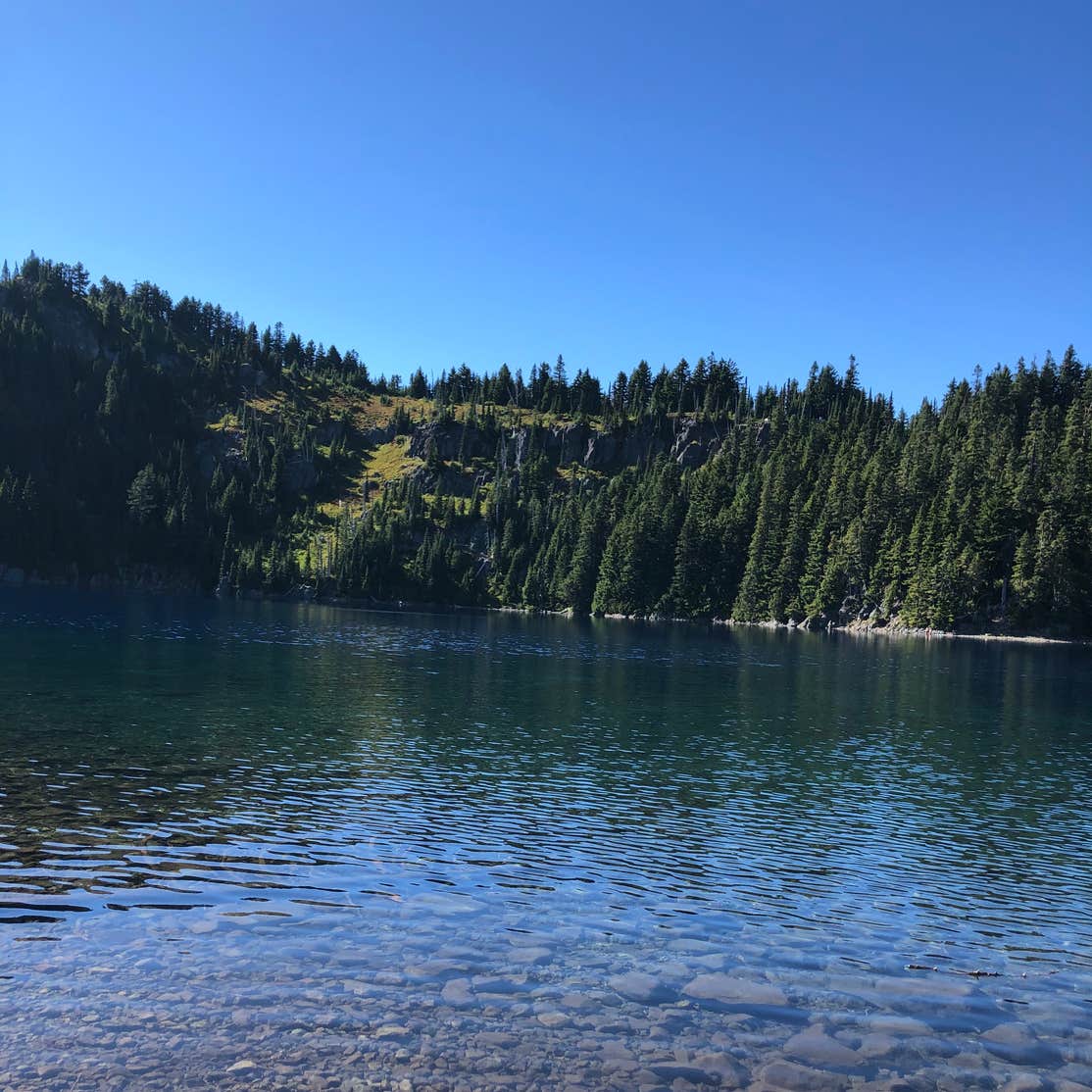 Granite Lake Dispersed Camping Area | Goose Prairie, Washington